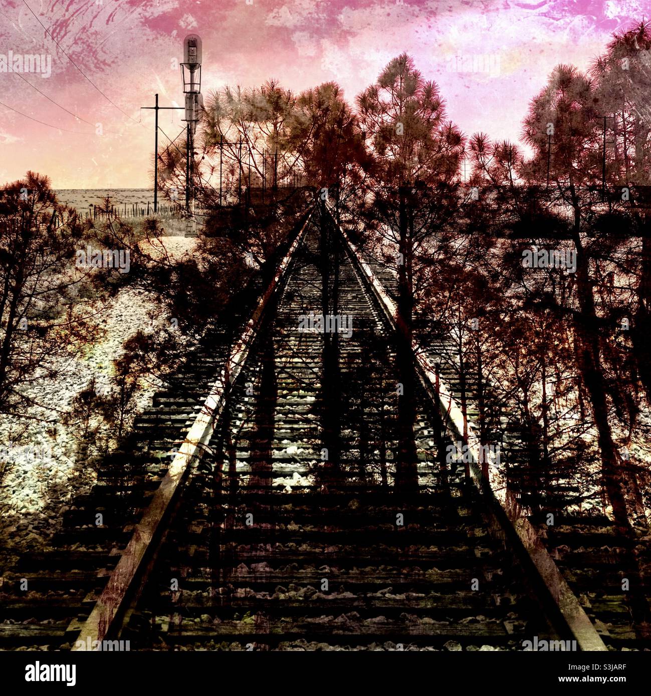 Double railway tracks hi-res stock photography and images - Alamy