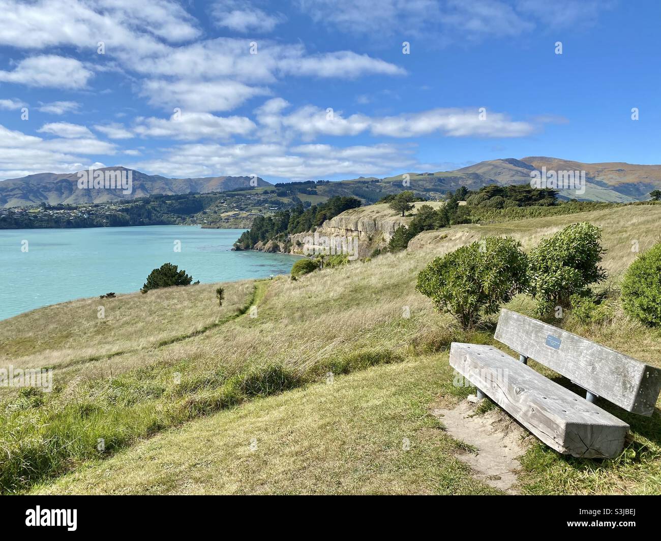 Quail island new zealand hi-res stock photography and images - Alamy