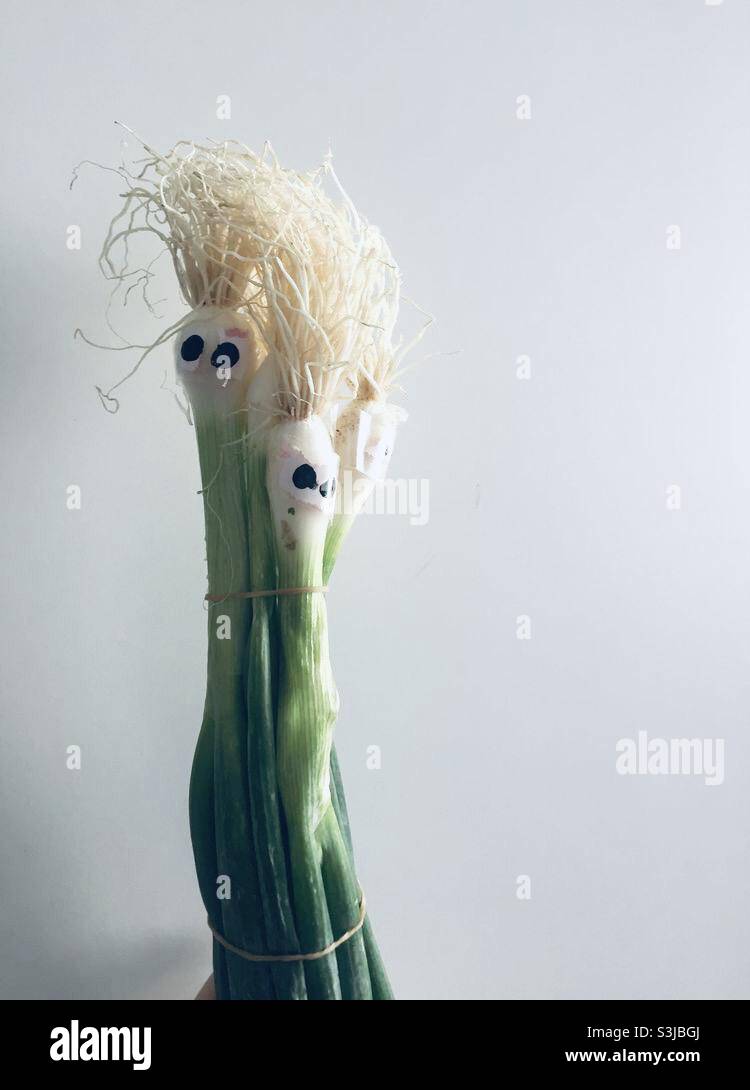Spring onion family is captured - kitchen plays with kids Stock Photo ...