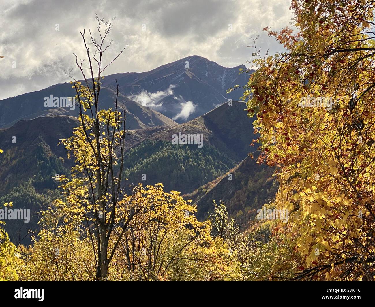 The Autumn colours of Otago, New Zealand Stock Photo - Alamy