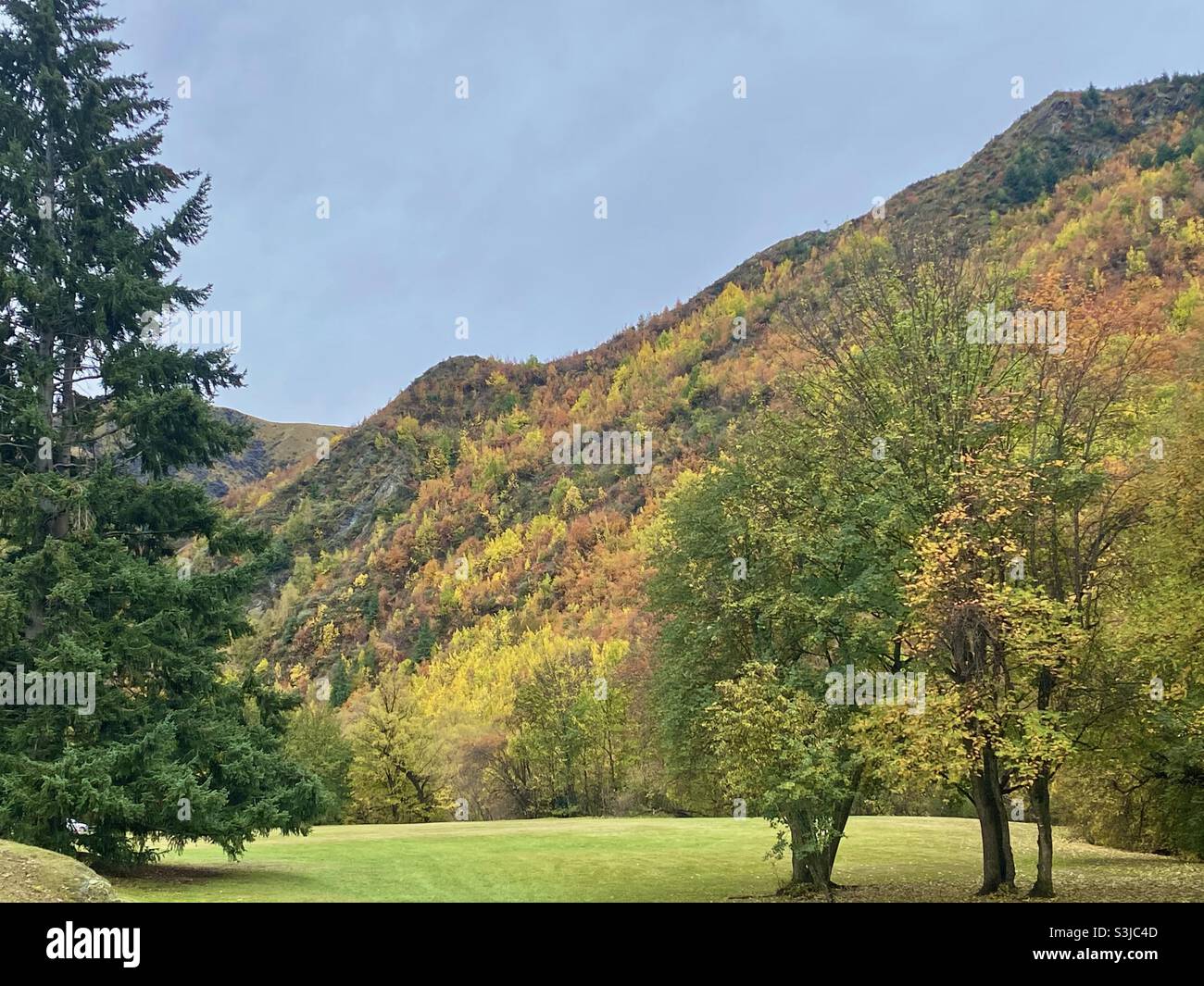 The Autumn colours of Otago , New Zealand Stock Photo - Alamy