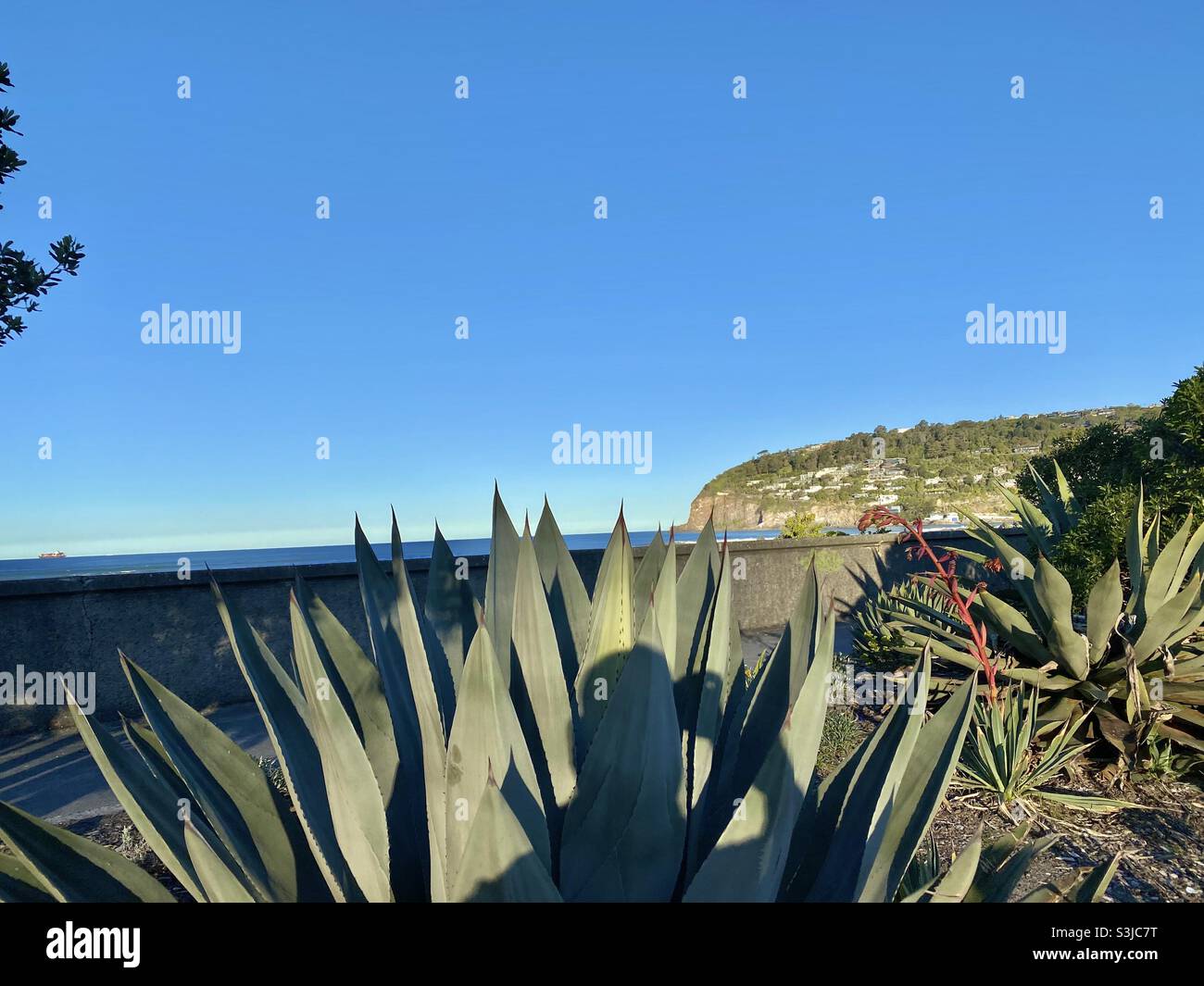 Christchurch Sumner High Resolution Stock Photography and Images - Alamy