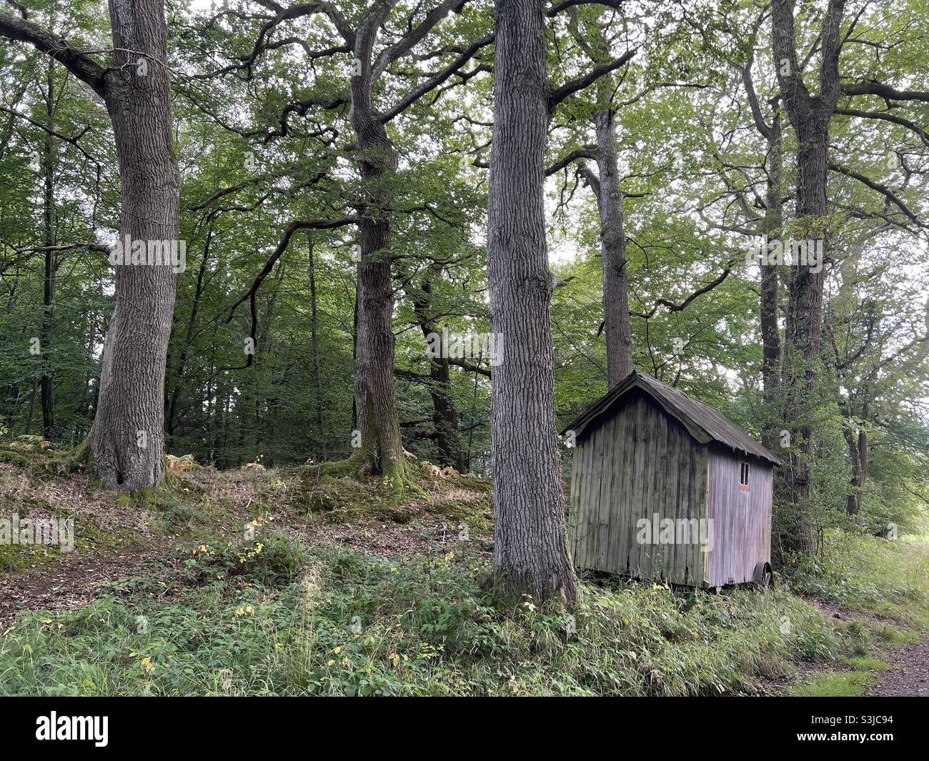 Shepherd hut hi-res stock photography and images - Alamy