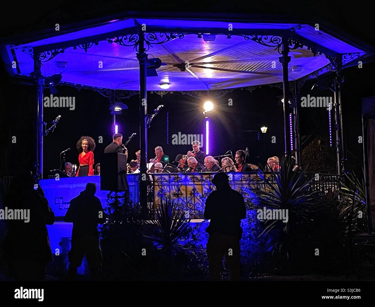 Outdoor festival singer hi-res stock photography and images - Alamy