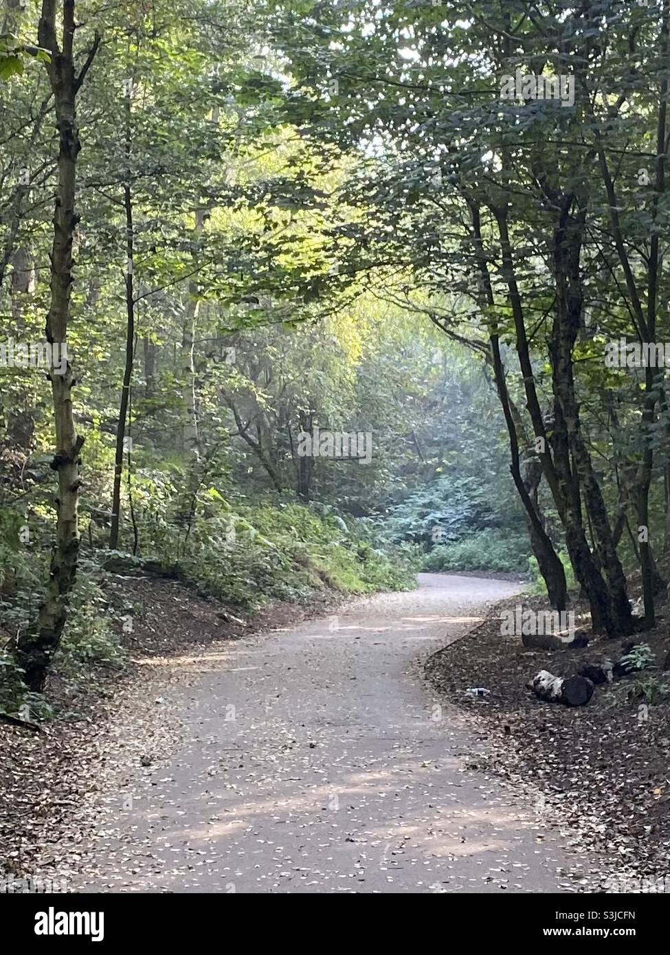 Winding hills hi-res stock photography and images - Alamy