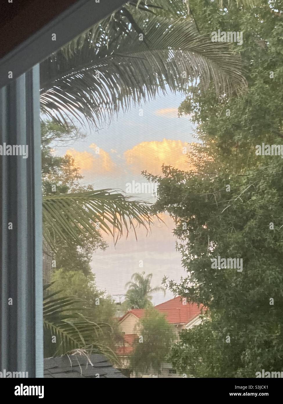 Tropical window hi-res stock photography and images - Alamy