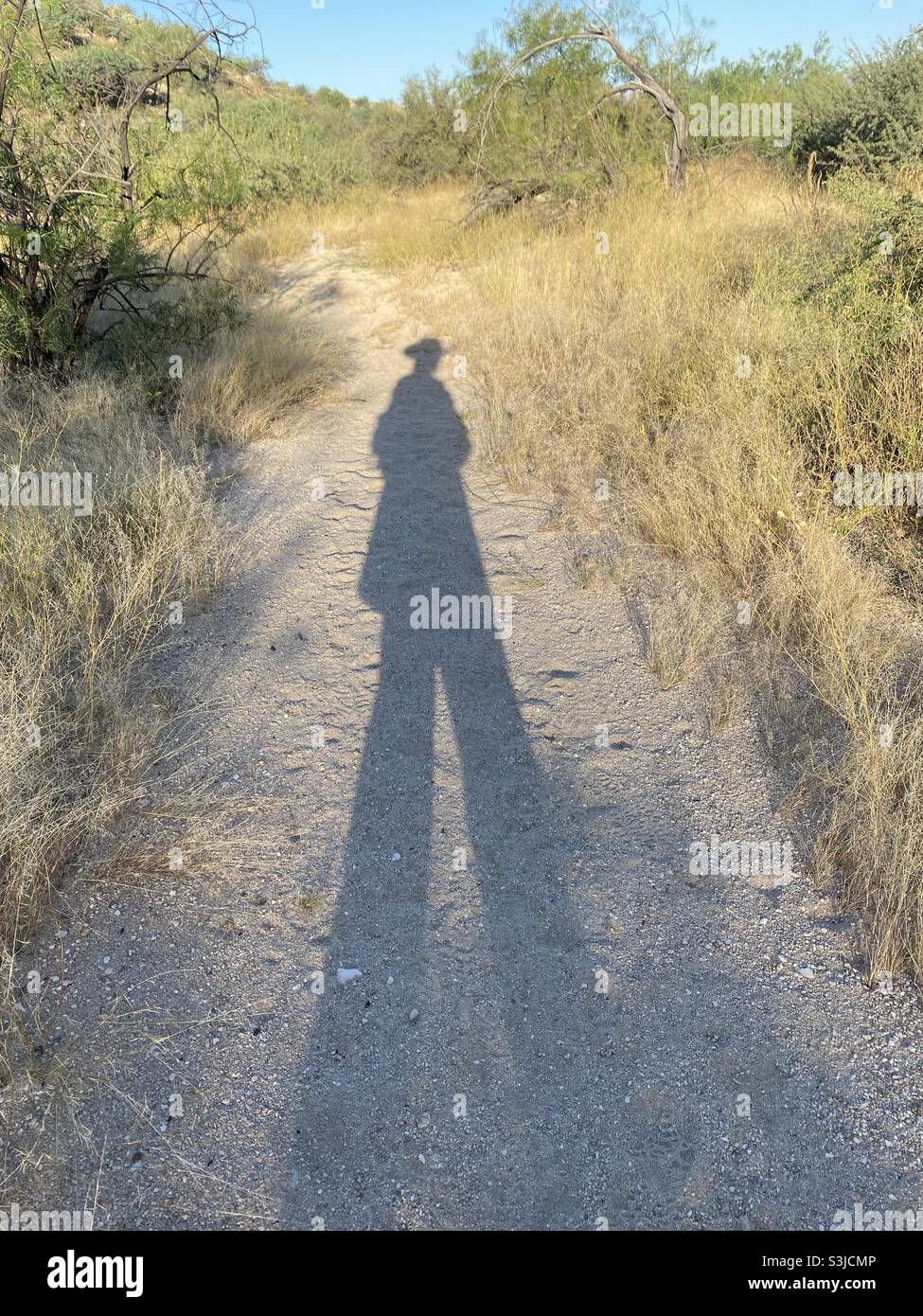 Chaparral grasses hi-res stock photography and images - Alamy
