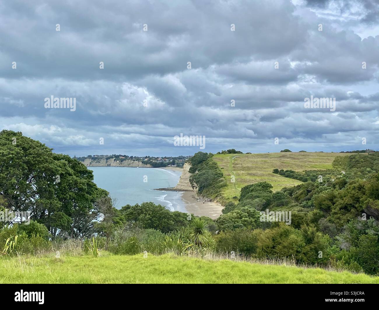 Long bay auckland hi-res stock photography and images - Alamy