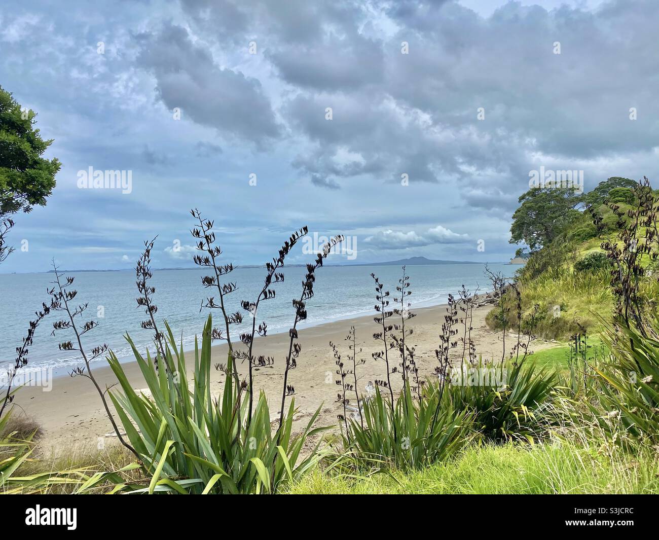 Long bay beach auckland hi-res stock photography and images - Alamy