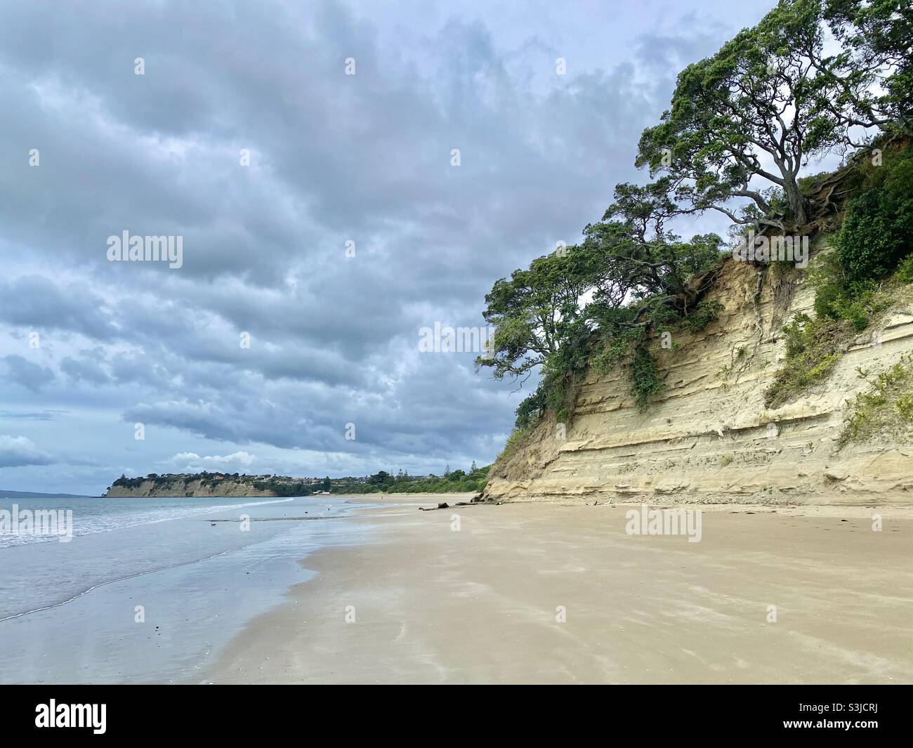 Long bay beach auckland hi-res stock photography and images - Alamy