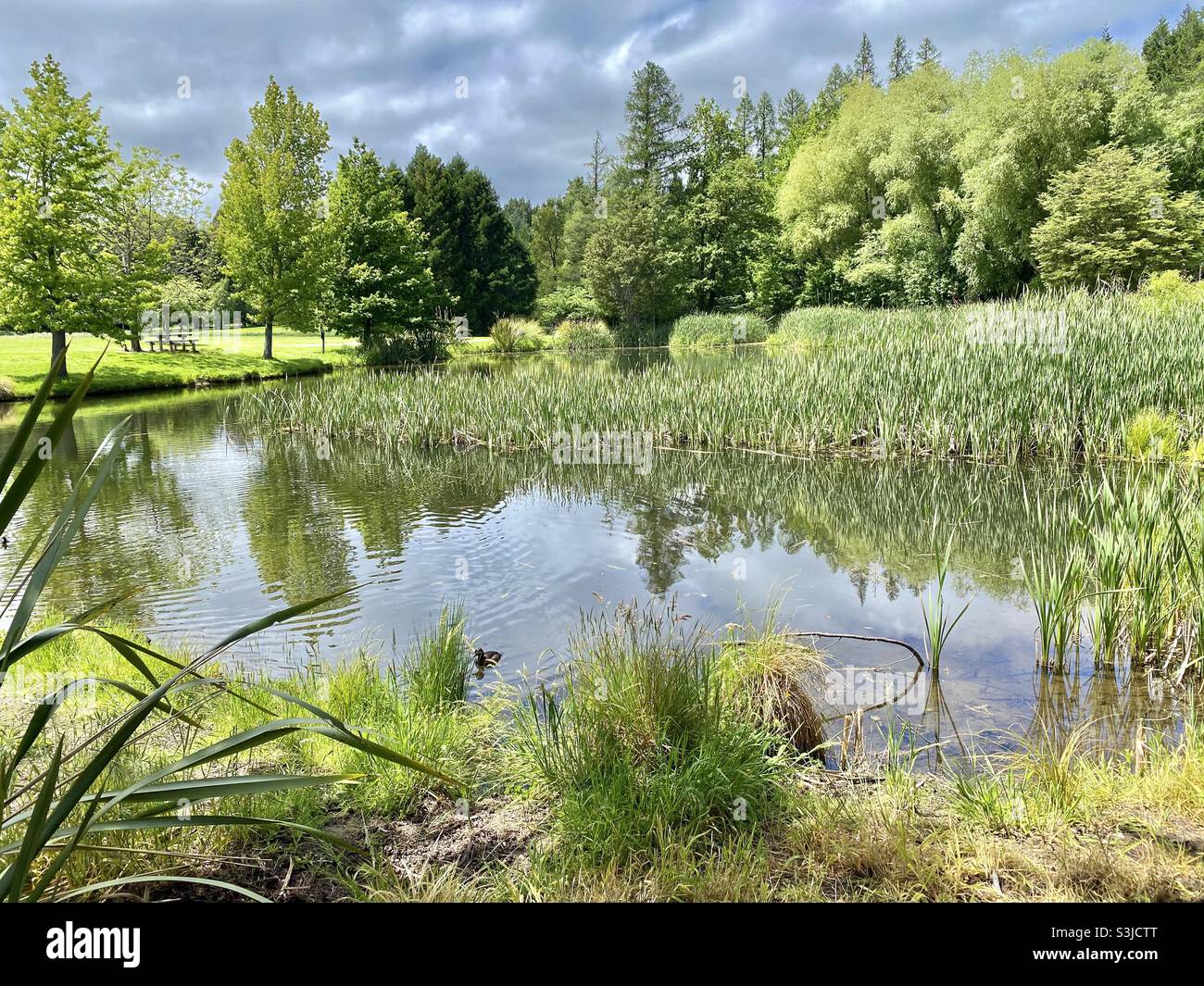 Hamner hi-res stock photography and images - Alamy