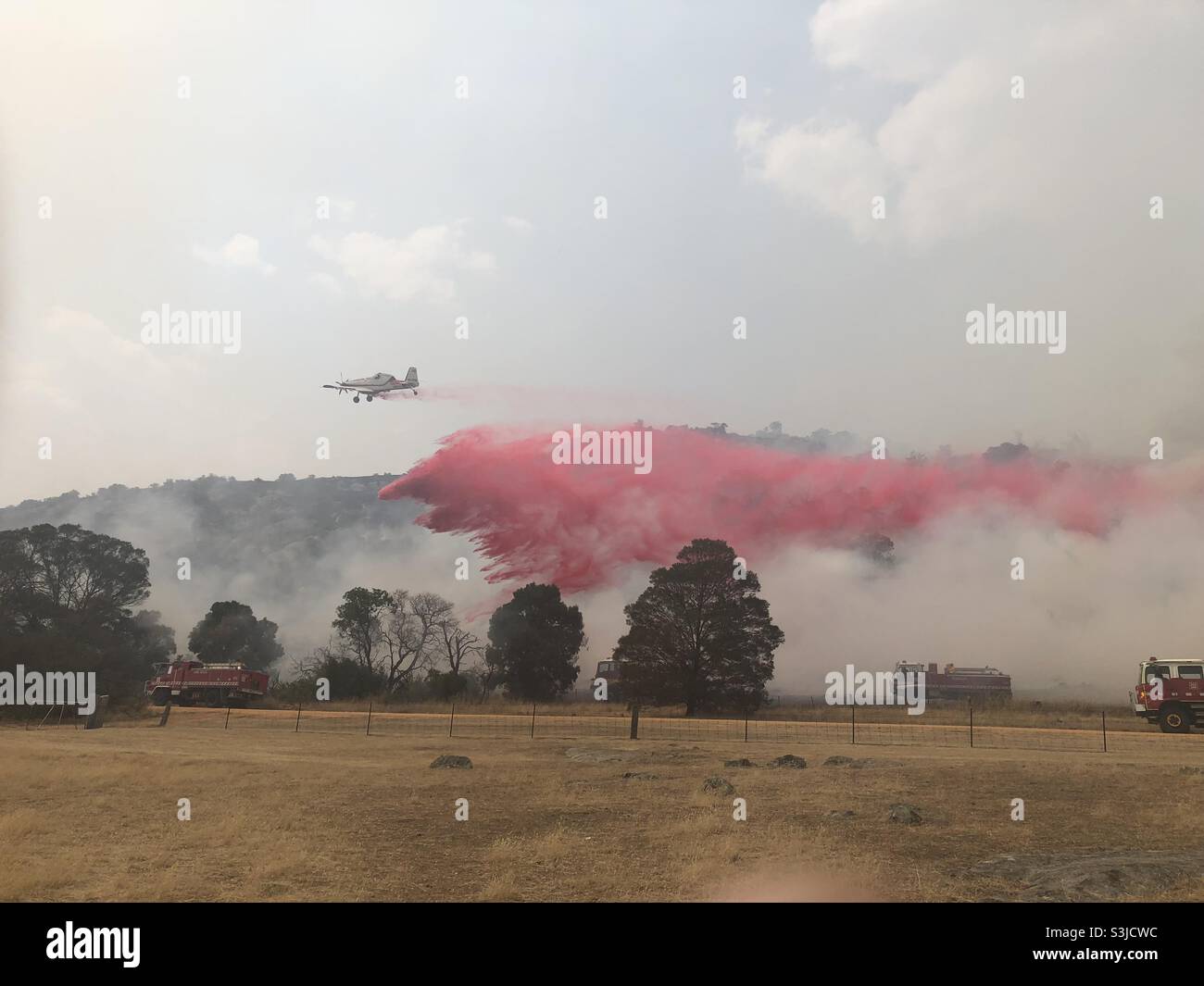 Life in summer hi-res stock photography and images - Alamy