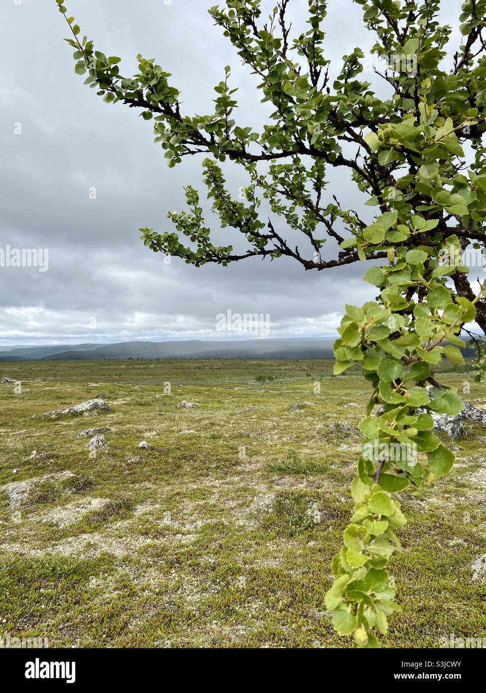 Finnish mountains hi-res stock photography and images - Alamy