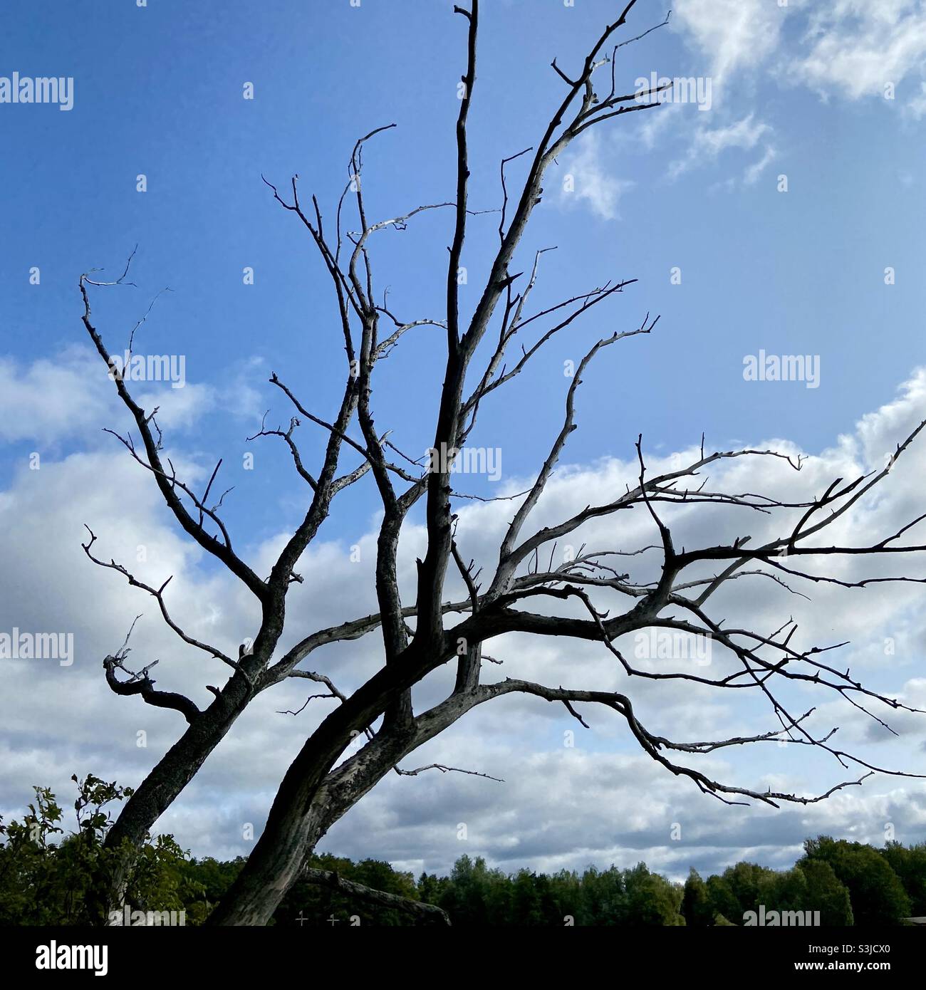 Black cloudy sky hi-res stock photography and images - Alamy