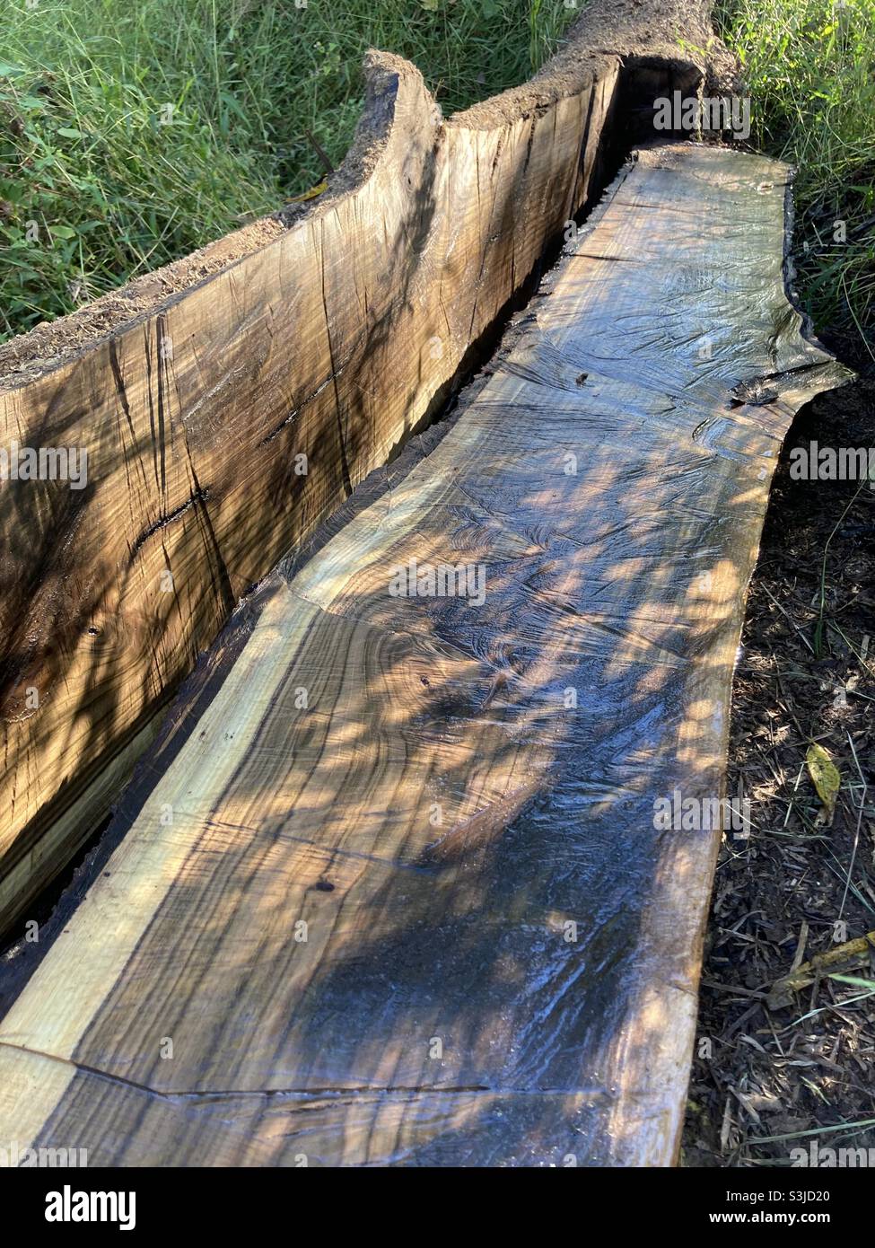 Rough cut lumber hi-res stock photography and images - Alamy
