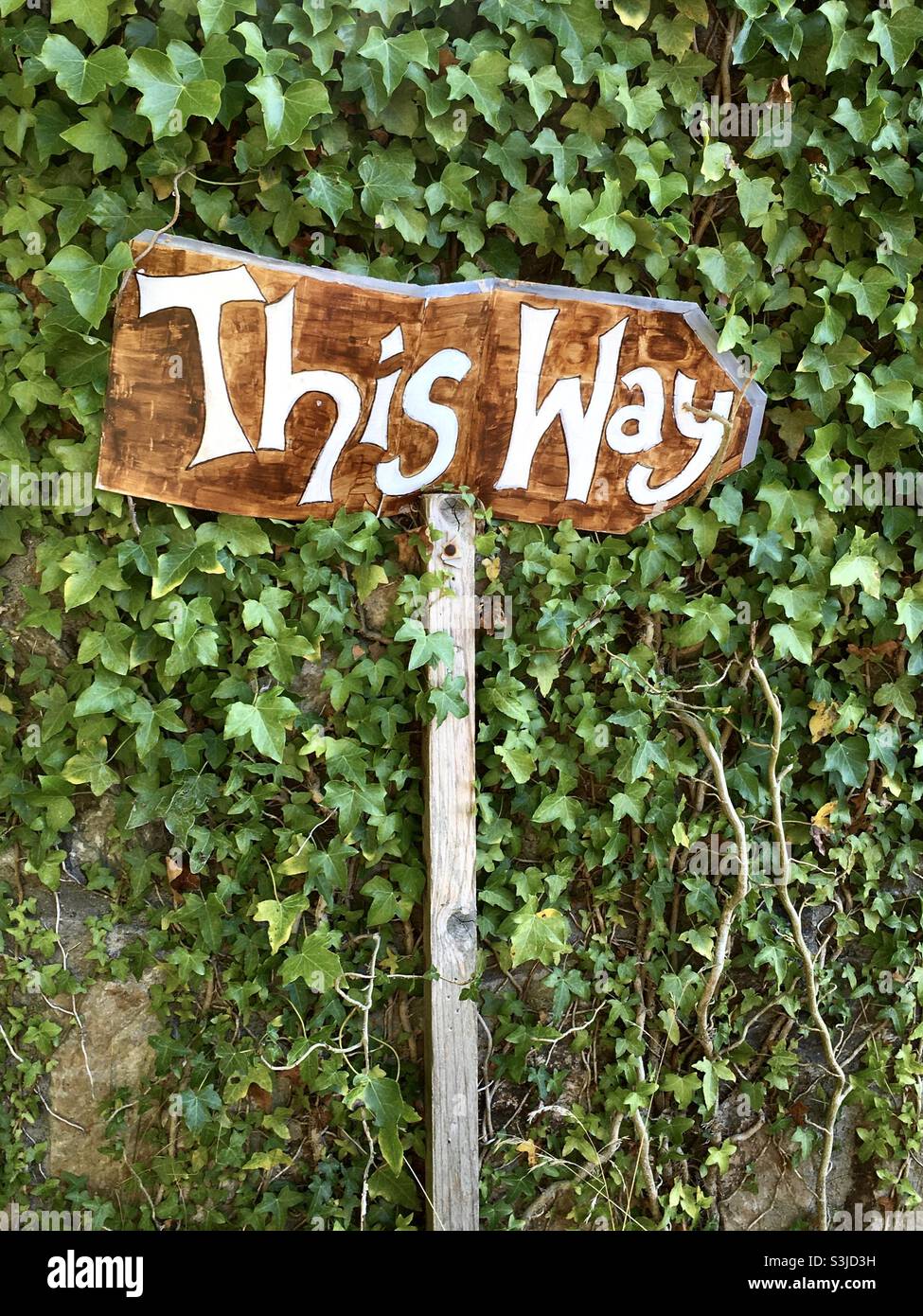 Signpost, this way, ivy, direction, directions , sign Stock Photo - Alamy