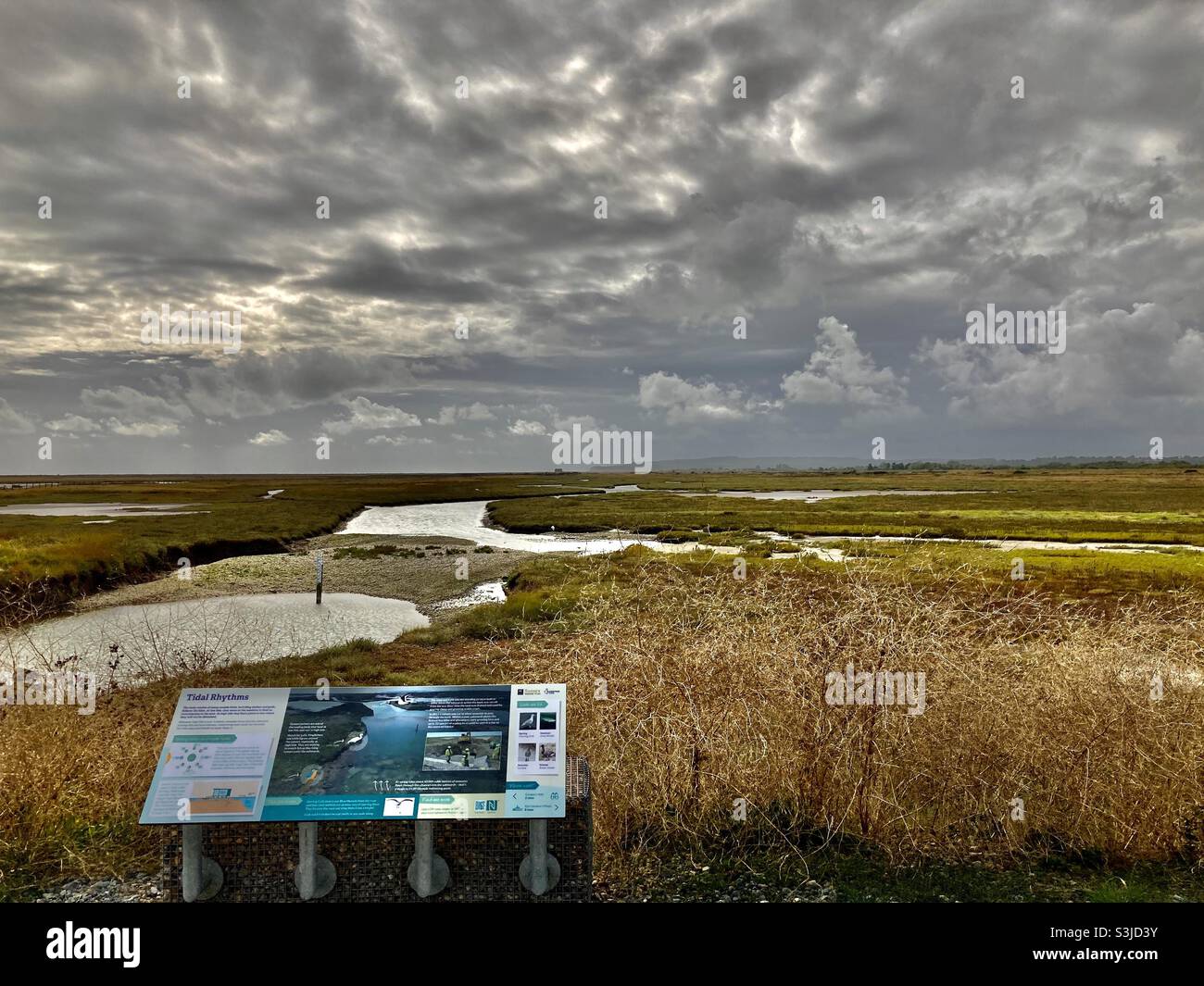 Rye Harbour Nature Reserve Stock Photo - Alamy