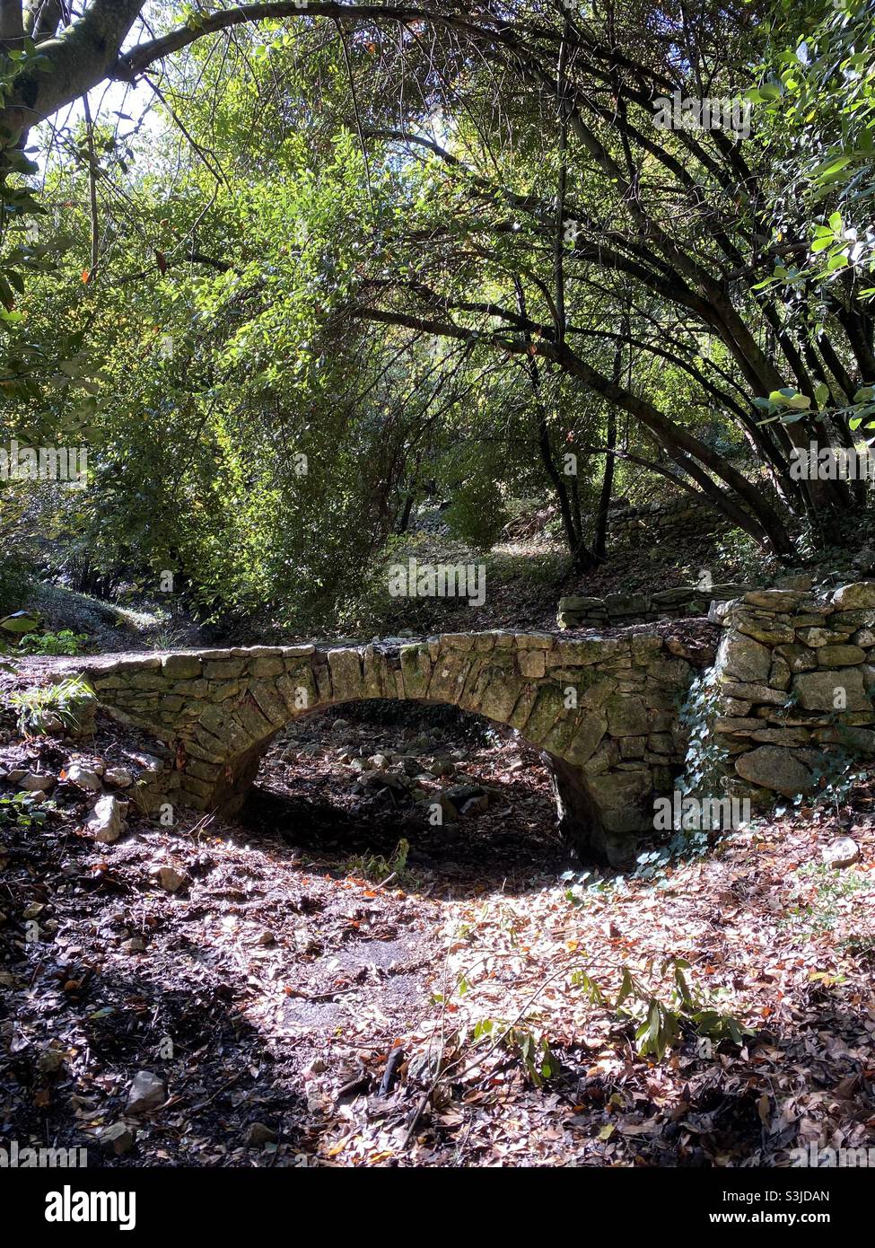 Fall nature walk Stock Photo - Alamy