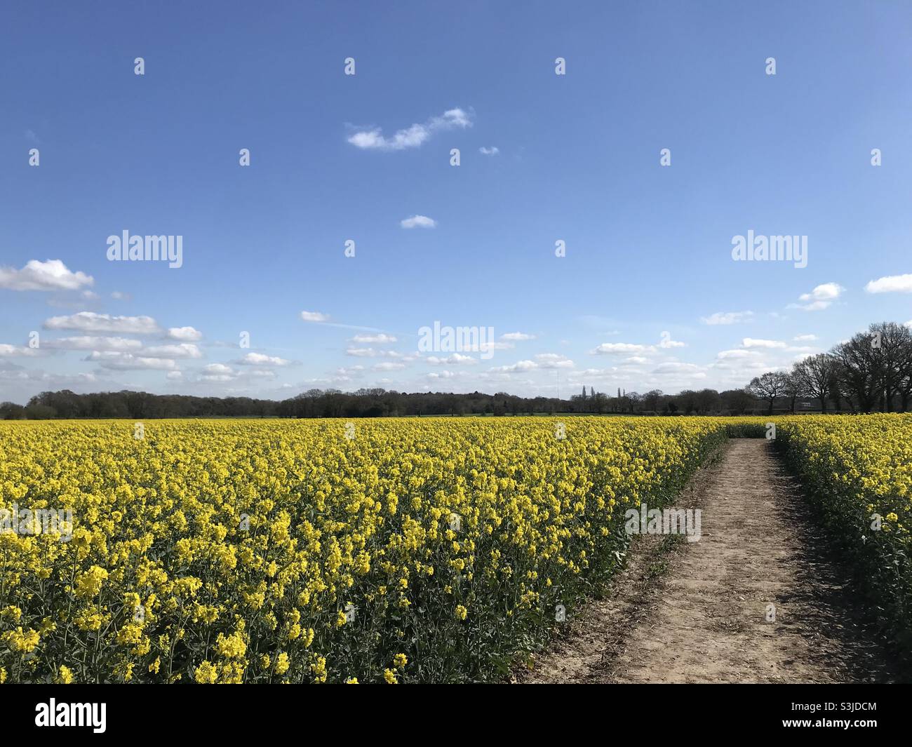Footpath field hi-res stock photography and images - Alamy