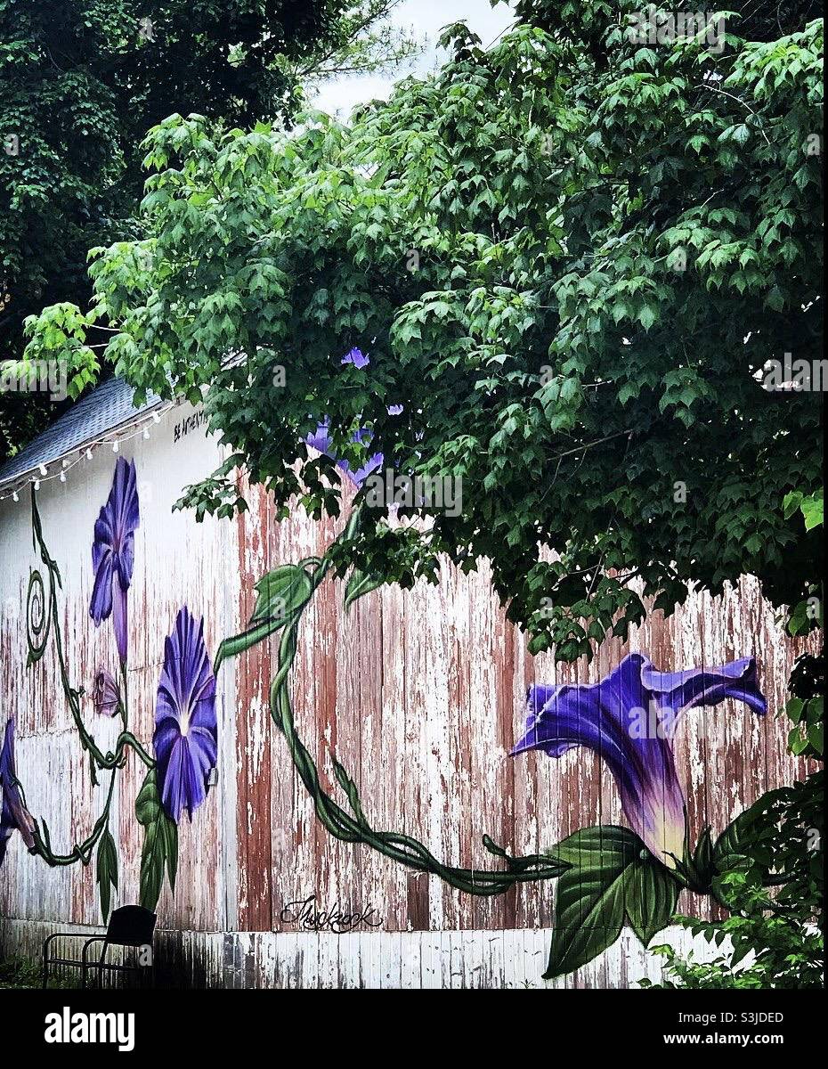 Mural art flower hi-res stock photography and images - Alamy