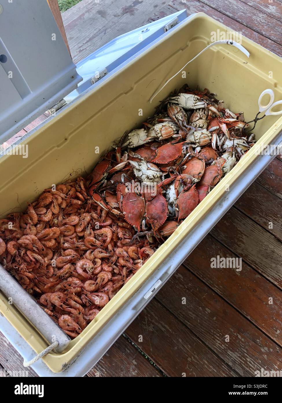 Ice chest hi-res stock photography and images - Alamy