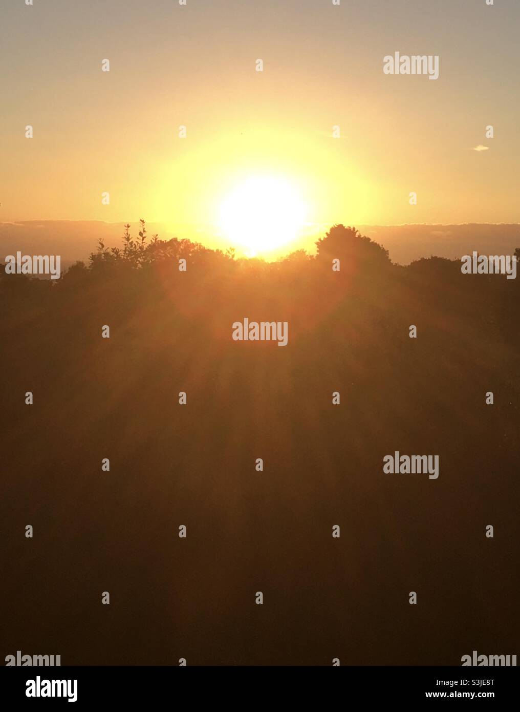 Golden light rays hi-res stock photography and images - Alamy