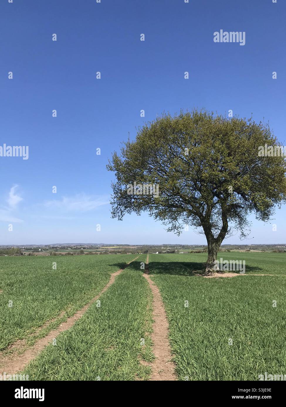 Field footpath hi-res stock photography and images - Alamy