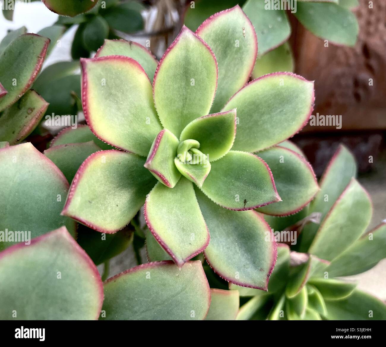 Outline edges hi-res stock photography and images - Alamy