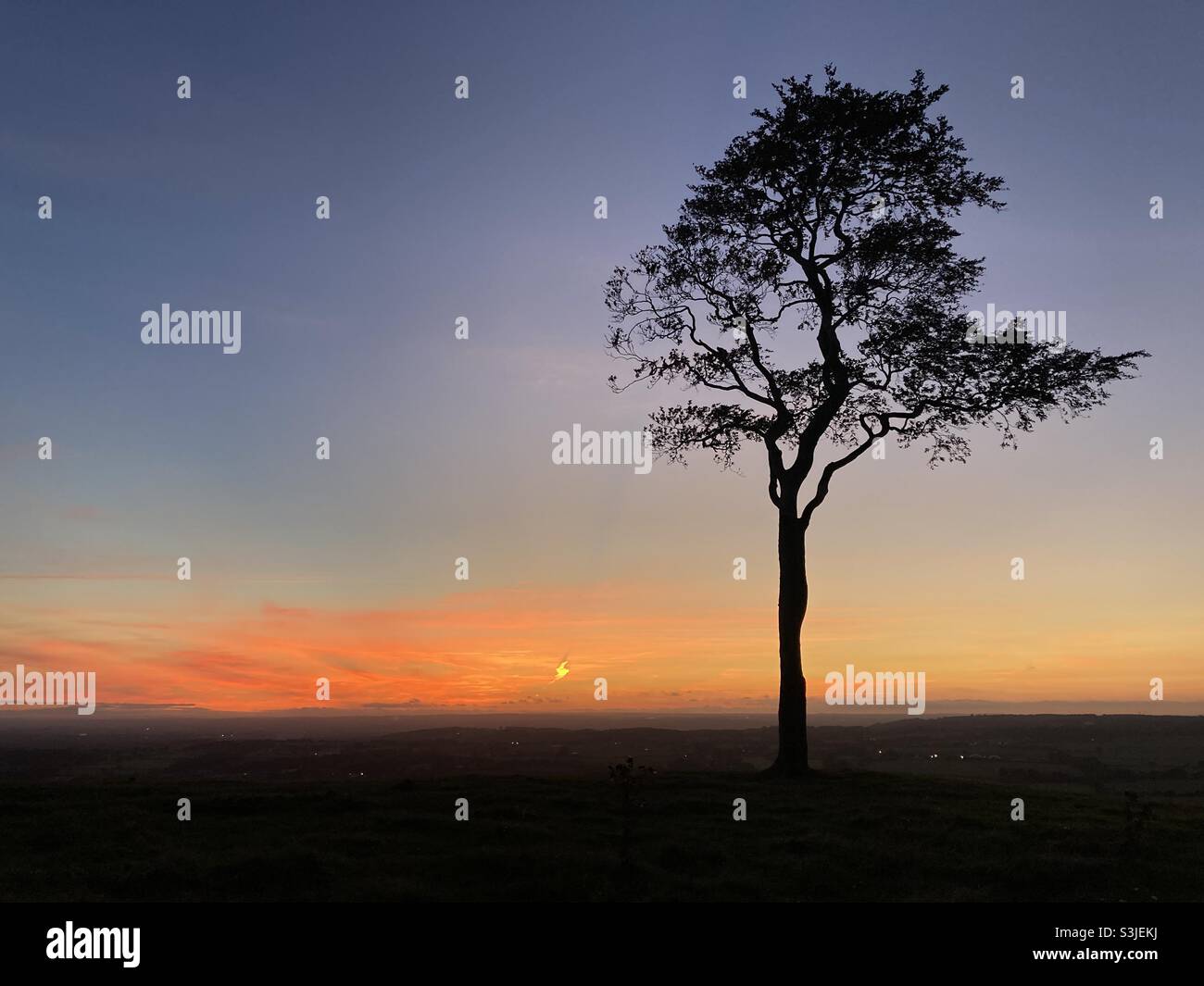 Roundway hill hi-res stock photography and images - Alamy