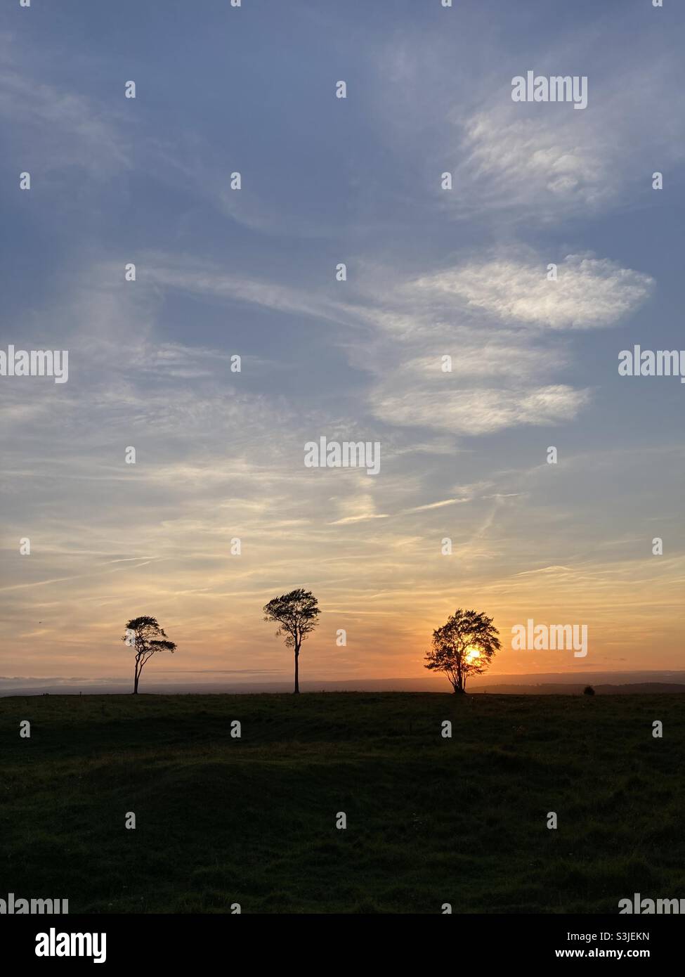 Three trees silhouette hi-res stock photography and images - Alamy
