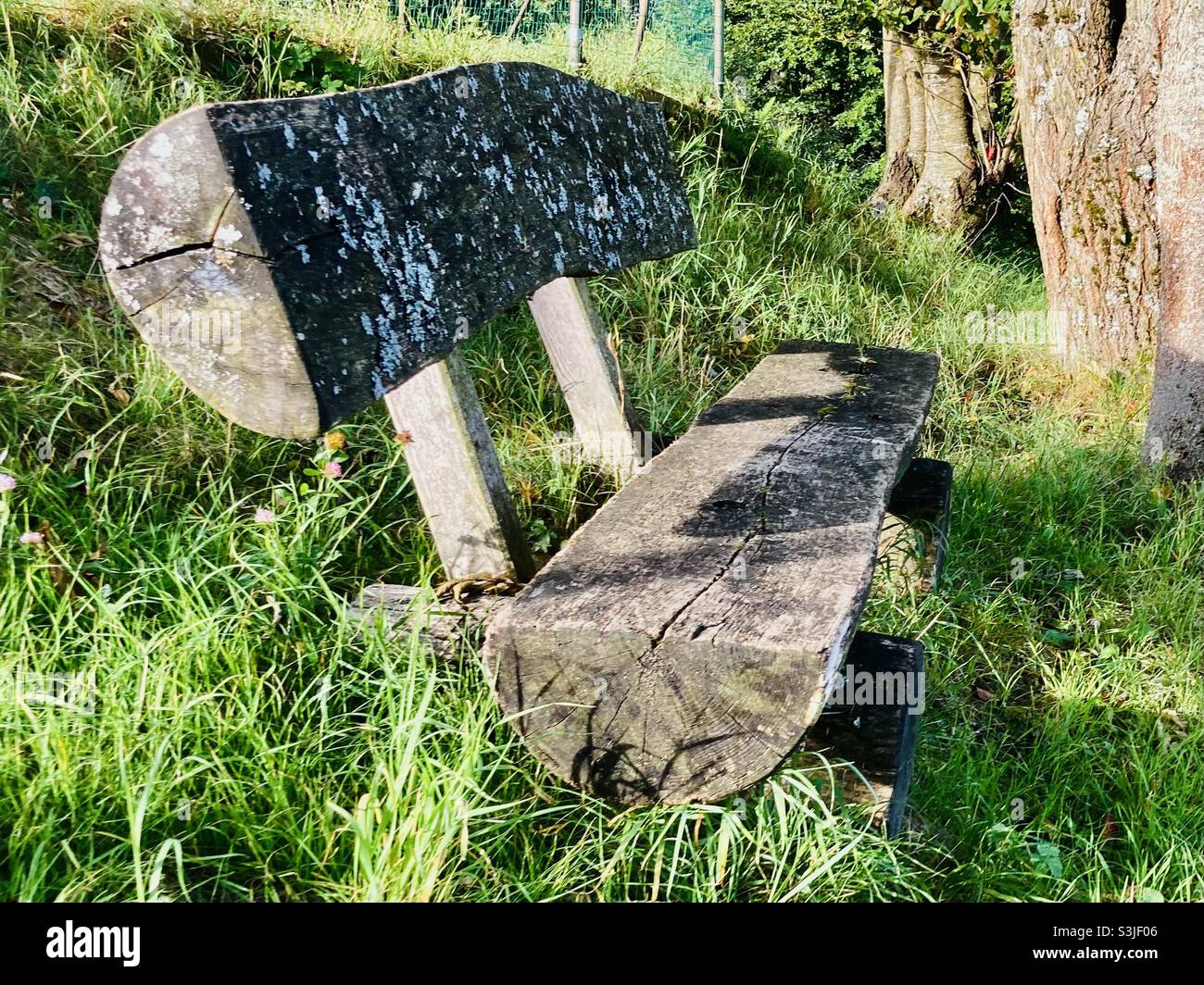 Bench from a tree trunk Stock Photo - Alamy