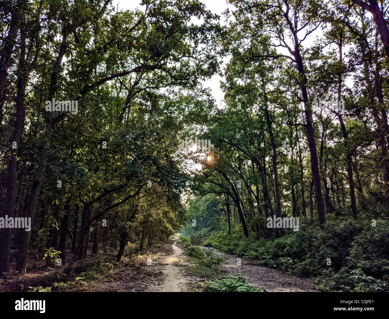 Natural painting hi-res stock photography and images - Alamy