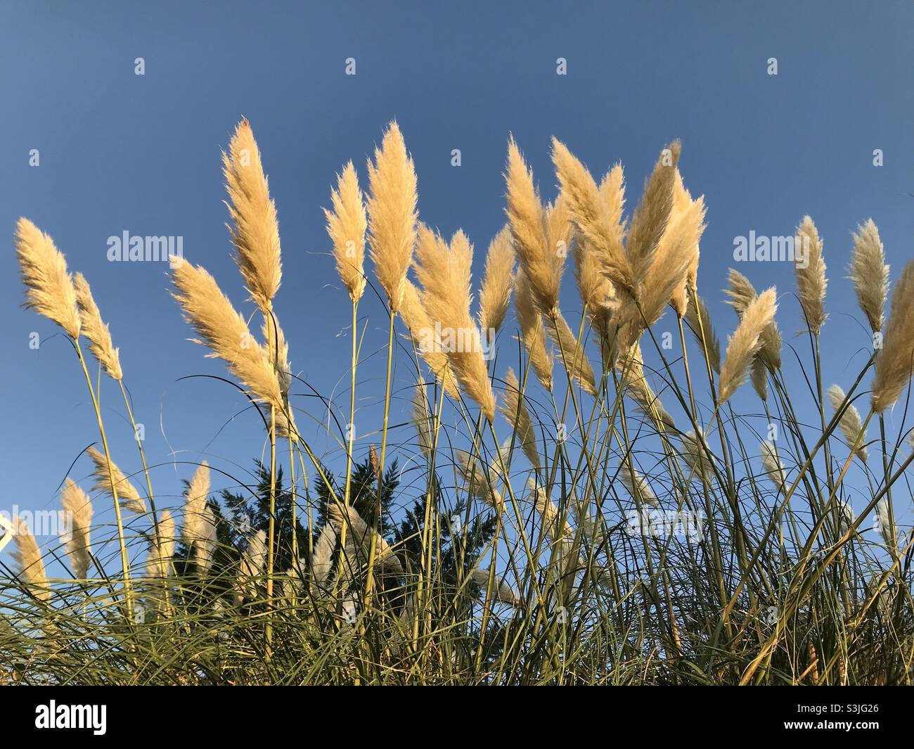October sky hi-res stock photography and images - Alamy
