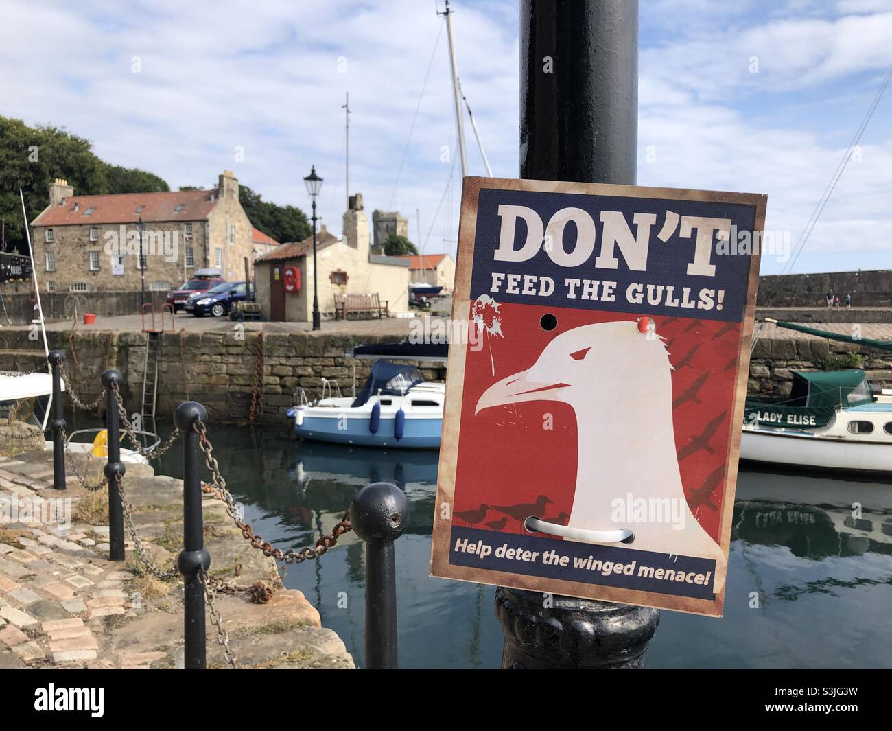 Seagull Warning Sign High Resolution Stock Photography and Images - Alamy
