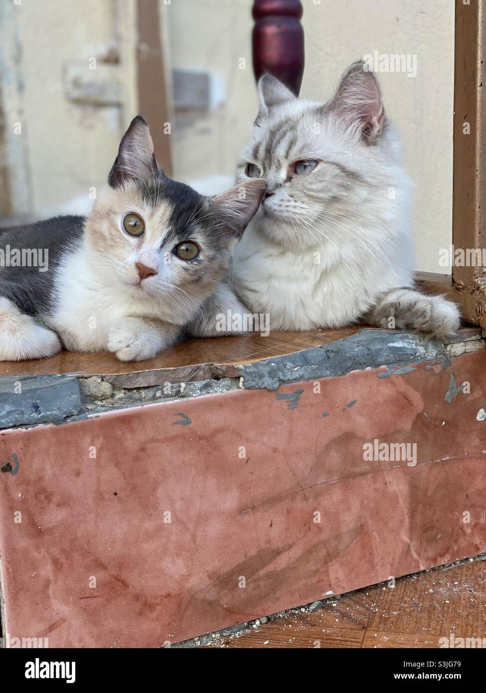 Nice picture hi-res stock photography and images - Alamy