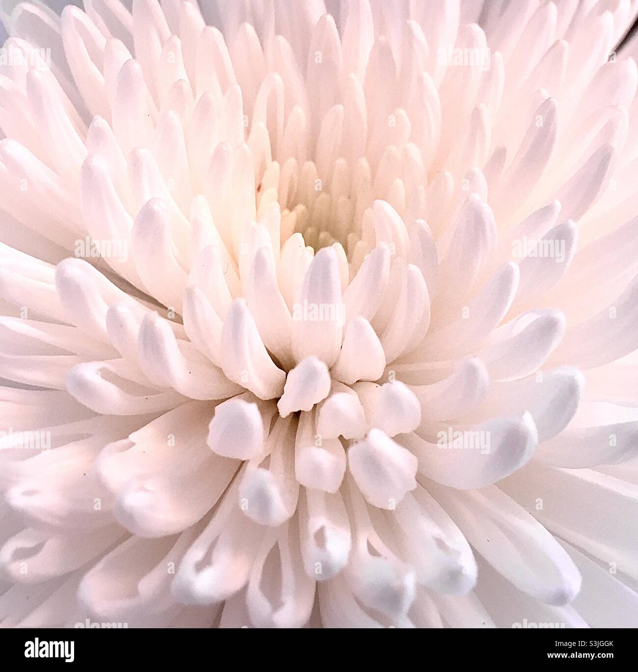 Gentle nature hi-res stock photography and images - Alamy