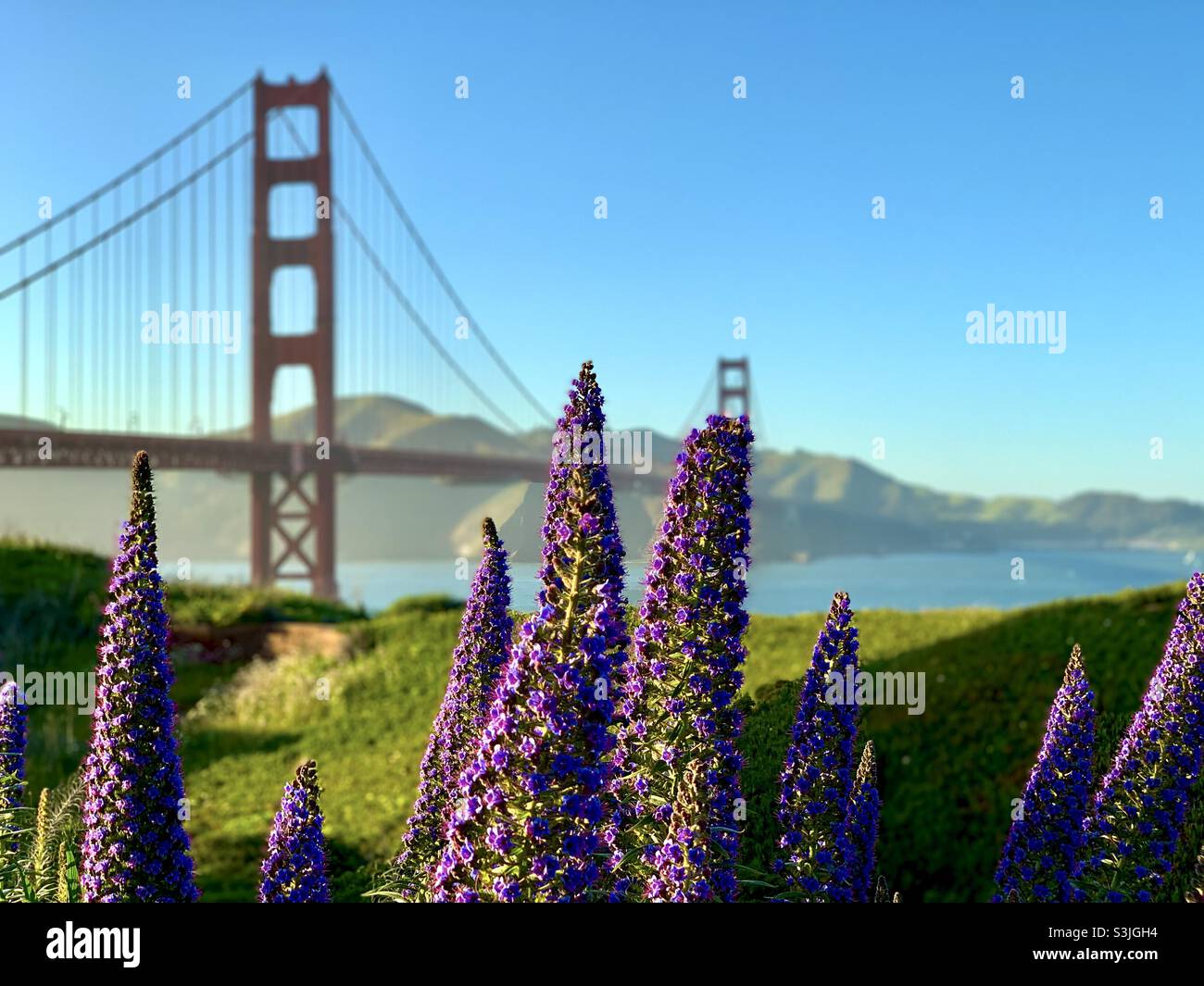 Golden Gate San Francisco Stock Photo - Alamy