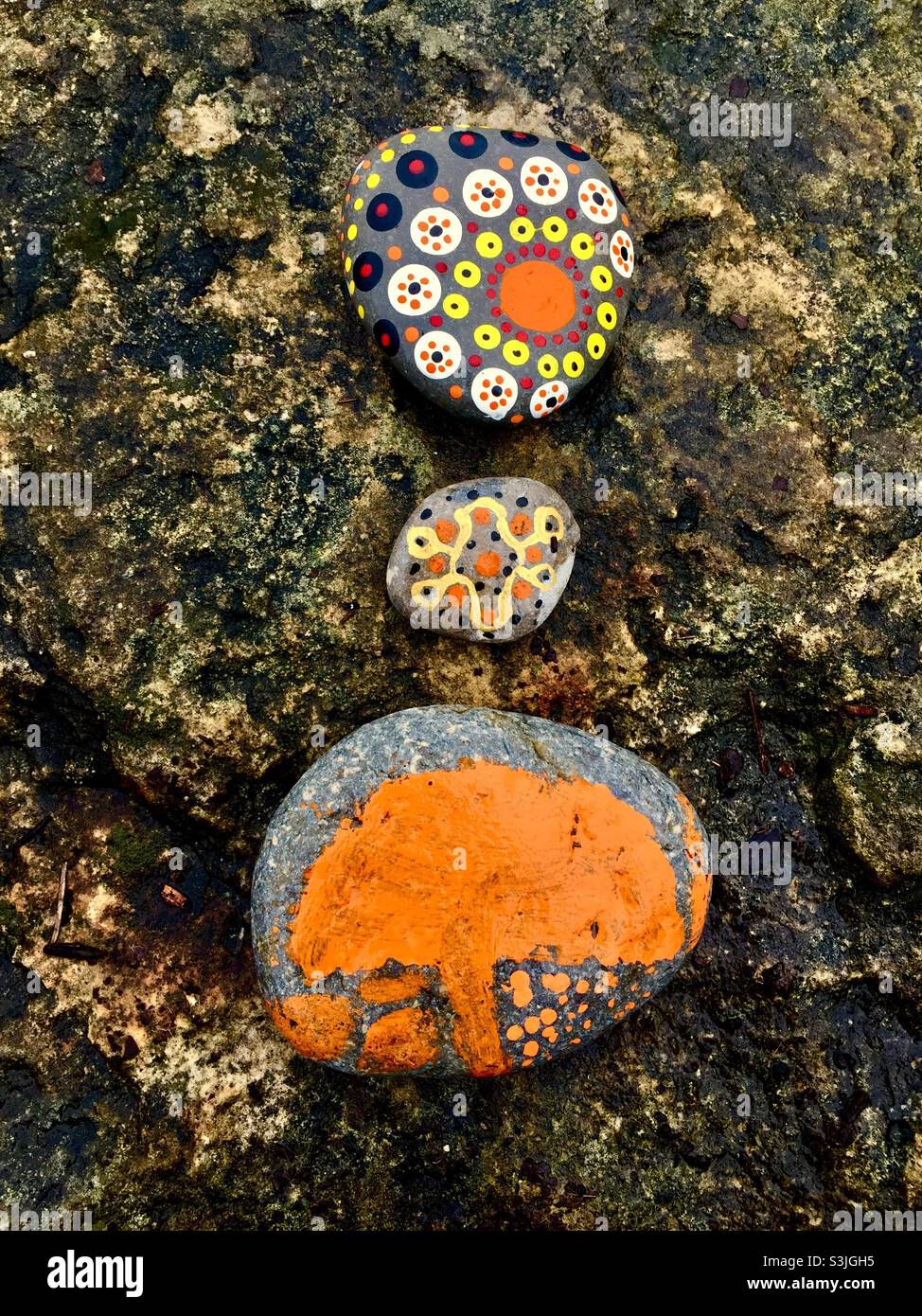 A tree, a bird, and the stars, linked in an artist’s rendition on three ...