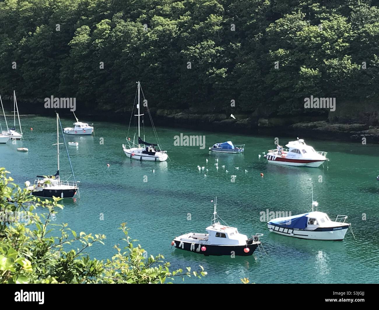 Watermouth boats hi-res stock photography and images - Alamy