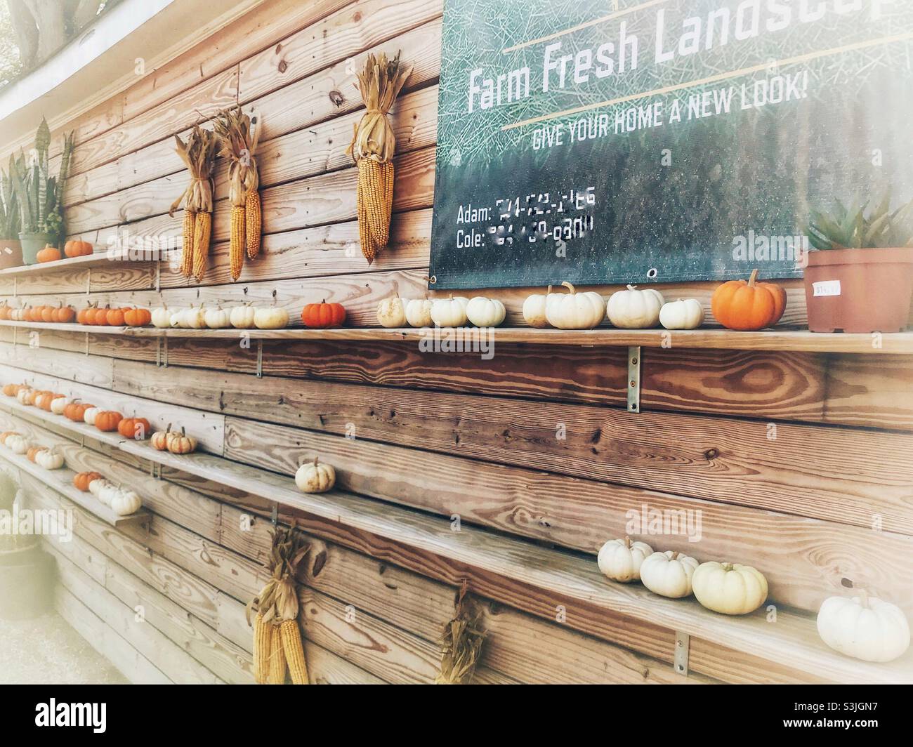Rustic farm wall display hi-res stock photography and images - Alamy