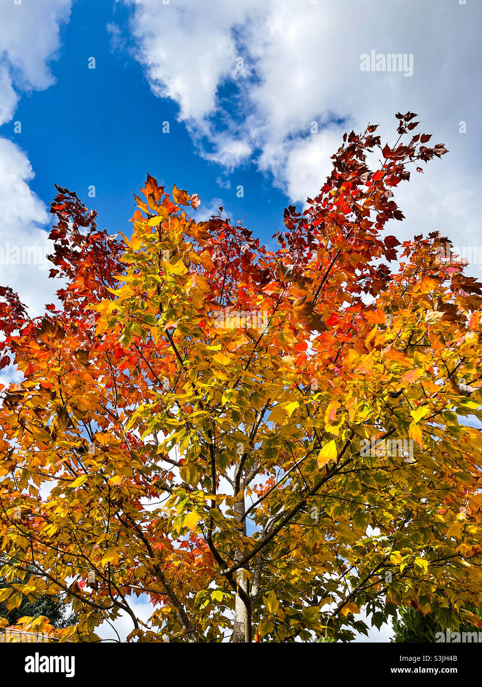 Firey red sky hi-res stock photography and images - Alamy