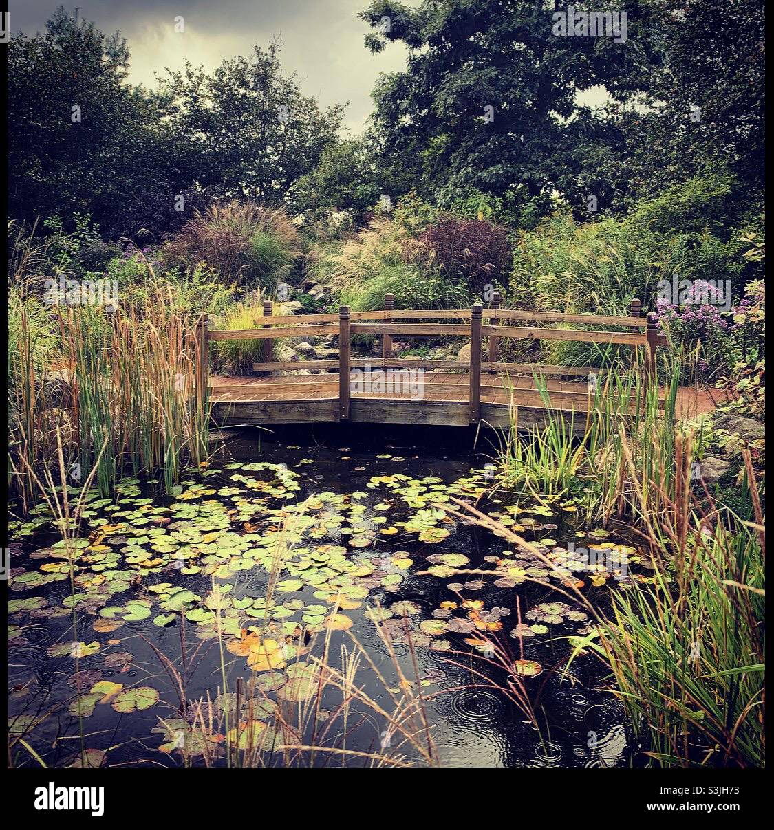 Monet bridge hi-res stock photography and images - Alamy