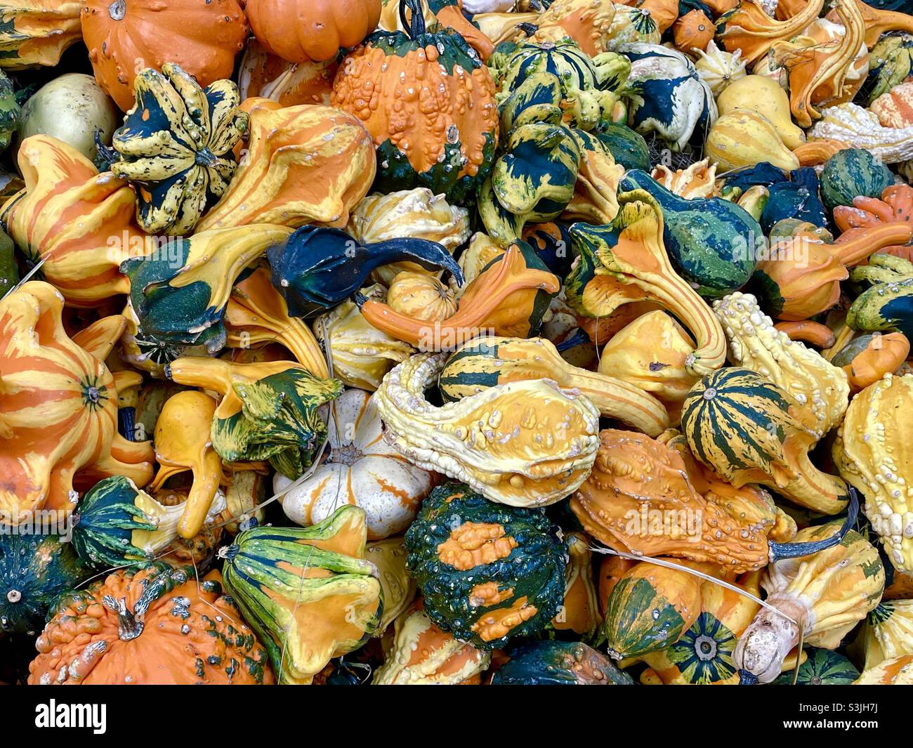 Fall shapes hi-res stock photography and images - Alamy