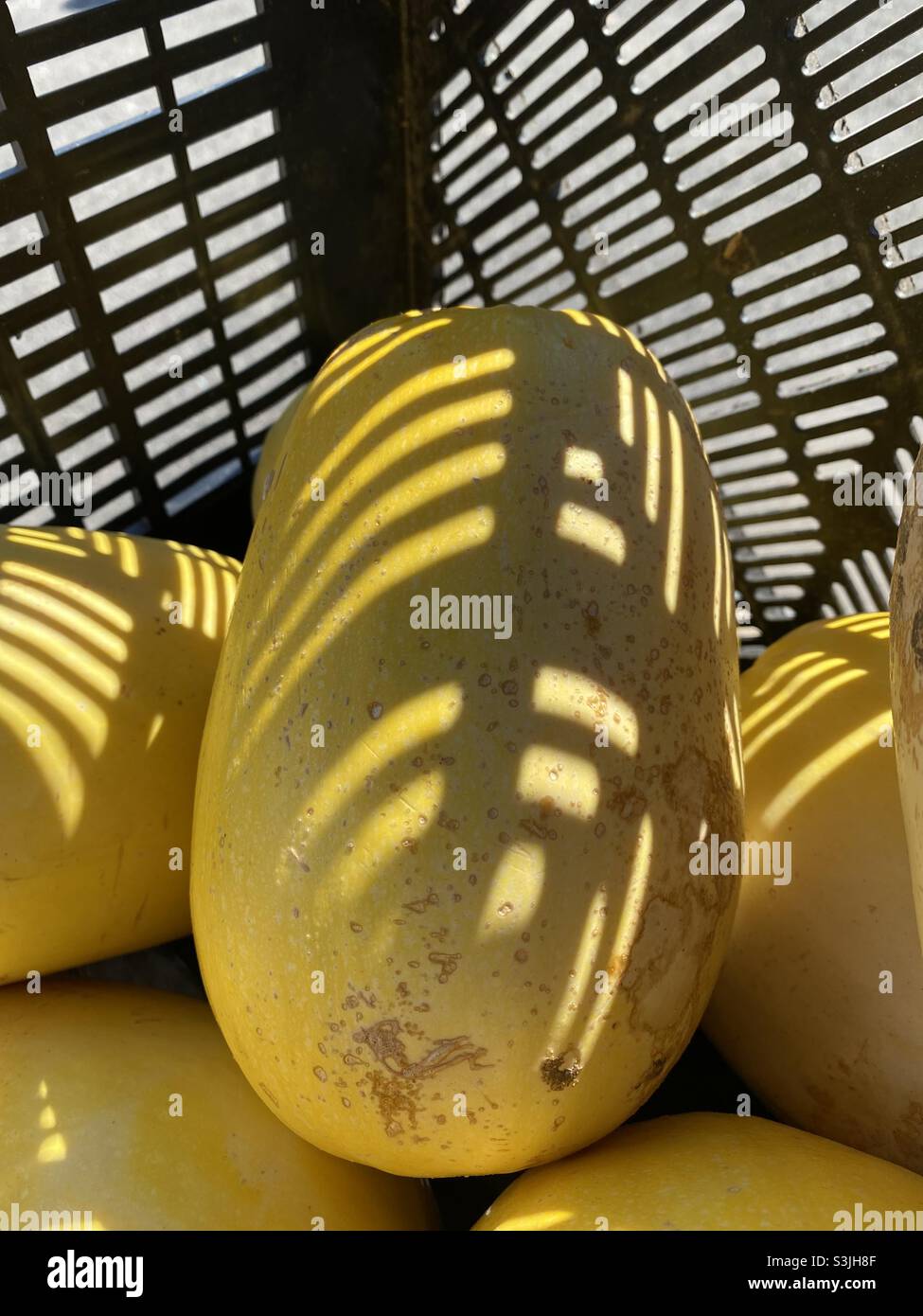 Casting patterns hi-res stock photography and images - Alamy