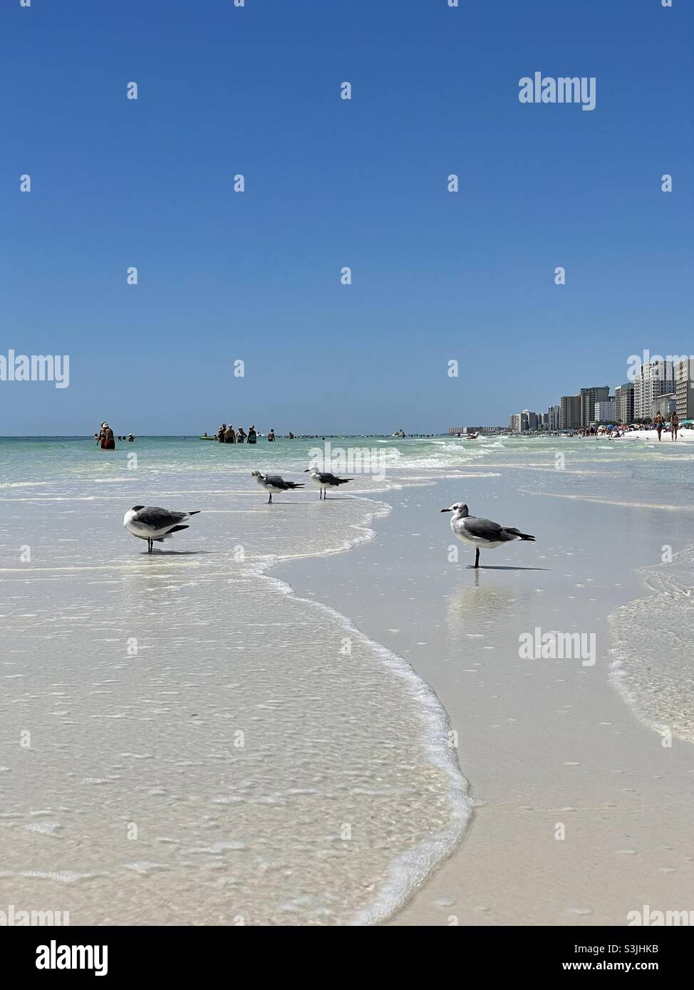Shoreline view of a September day on Destin Florida USA beach Stock ...