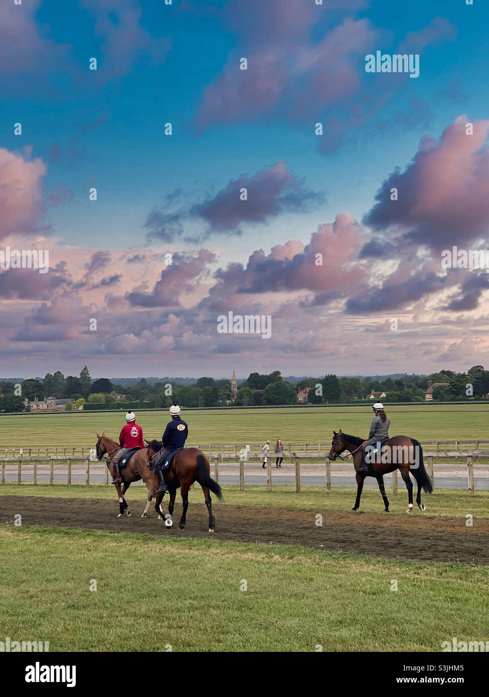 On the Gallops Stock Photo - Alamy