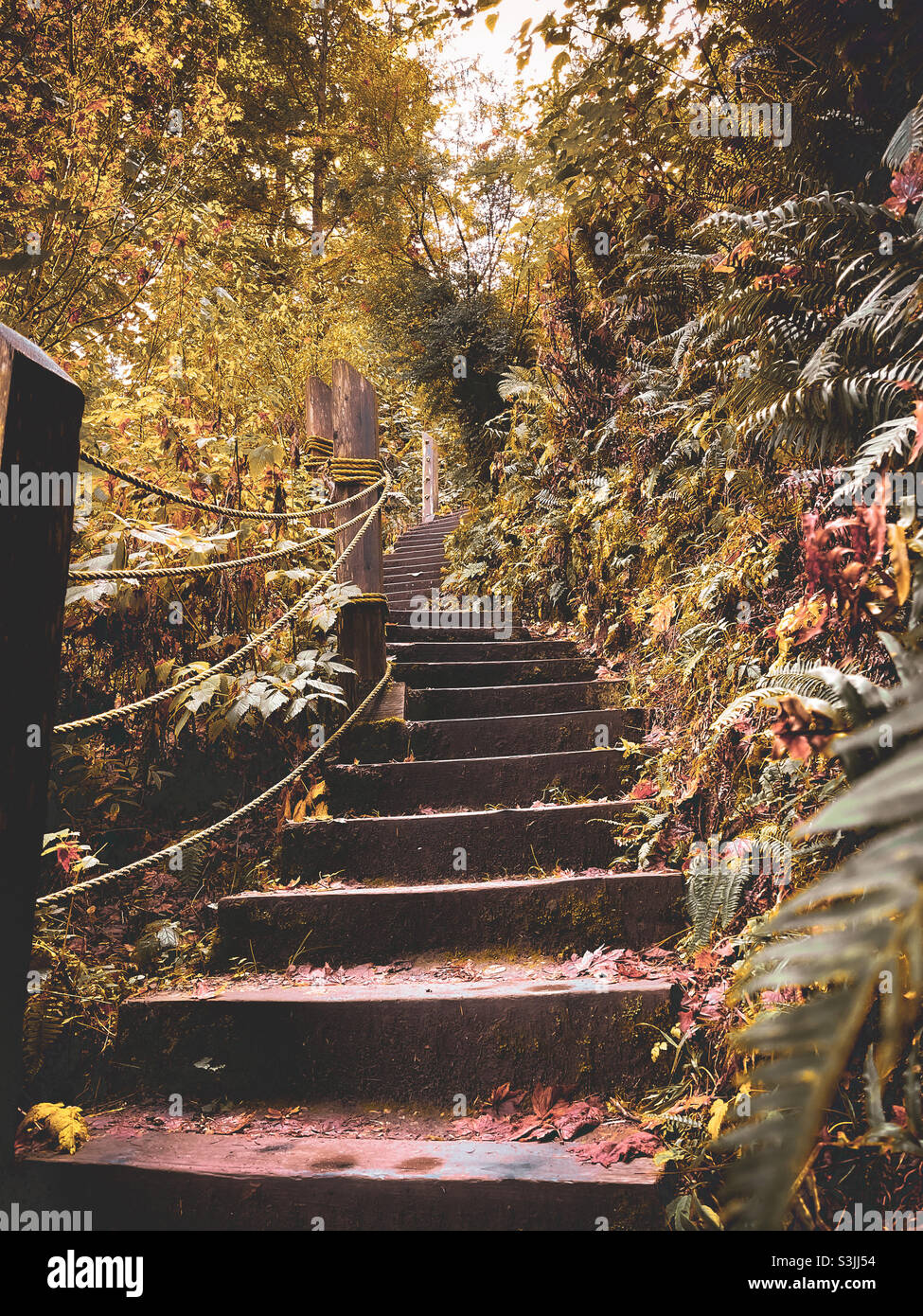 Winding stairs hi-res stock photography and images - Alamy