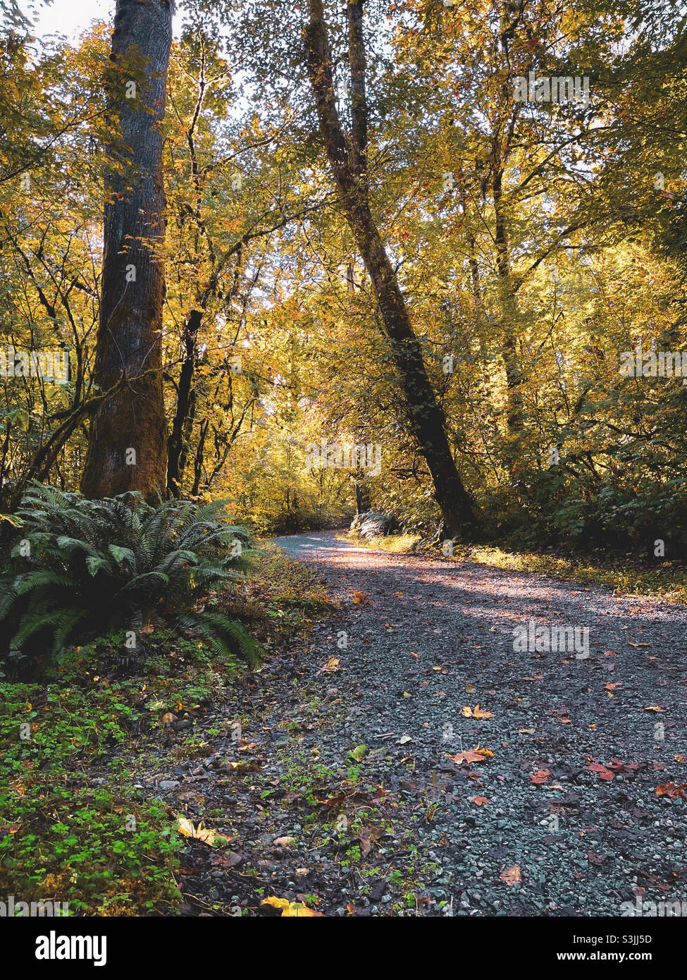 Yellow pathway hi-res stock photography and images - Alamy