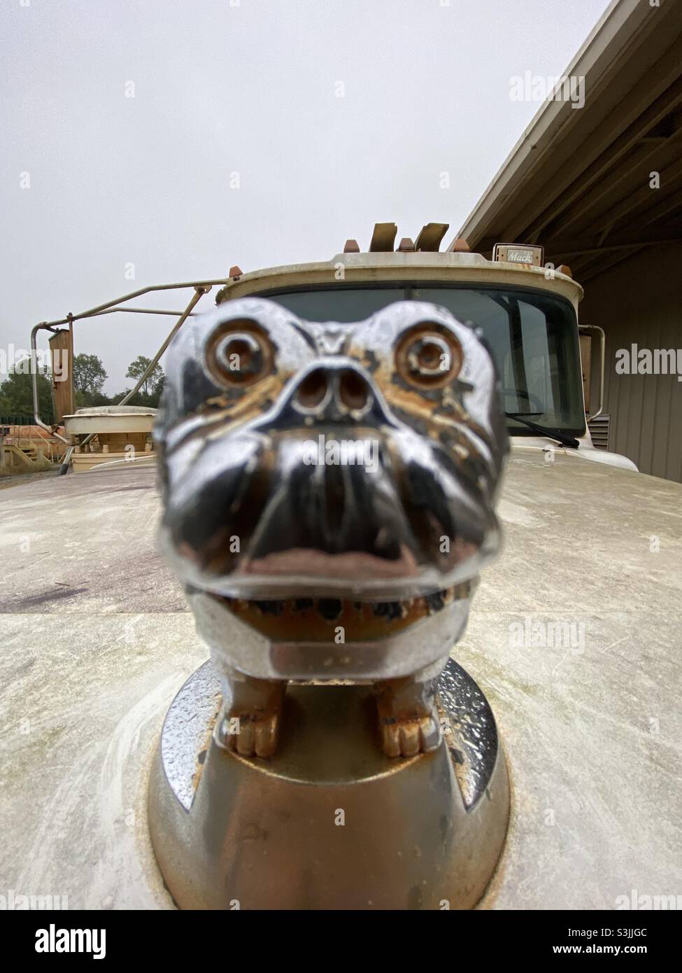 Mack bulldog hi-res stock photography and images - Alamy