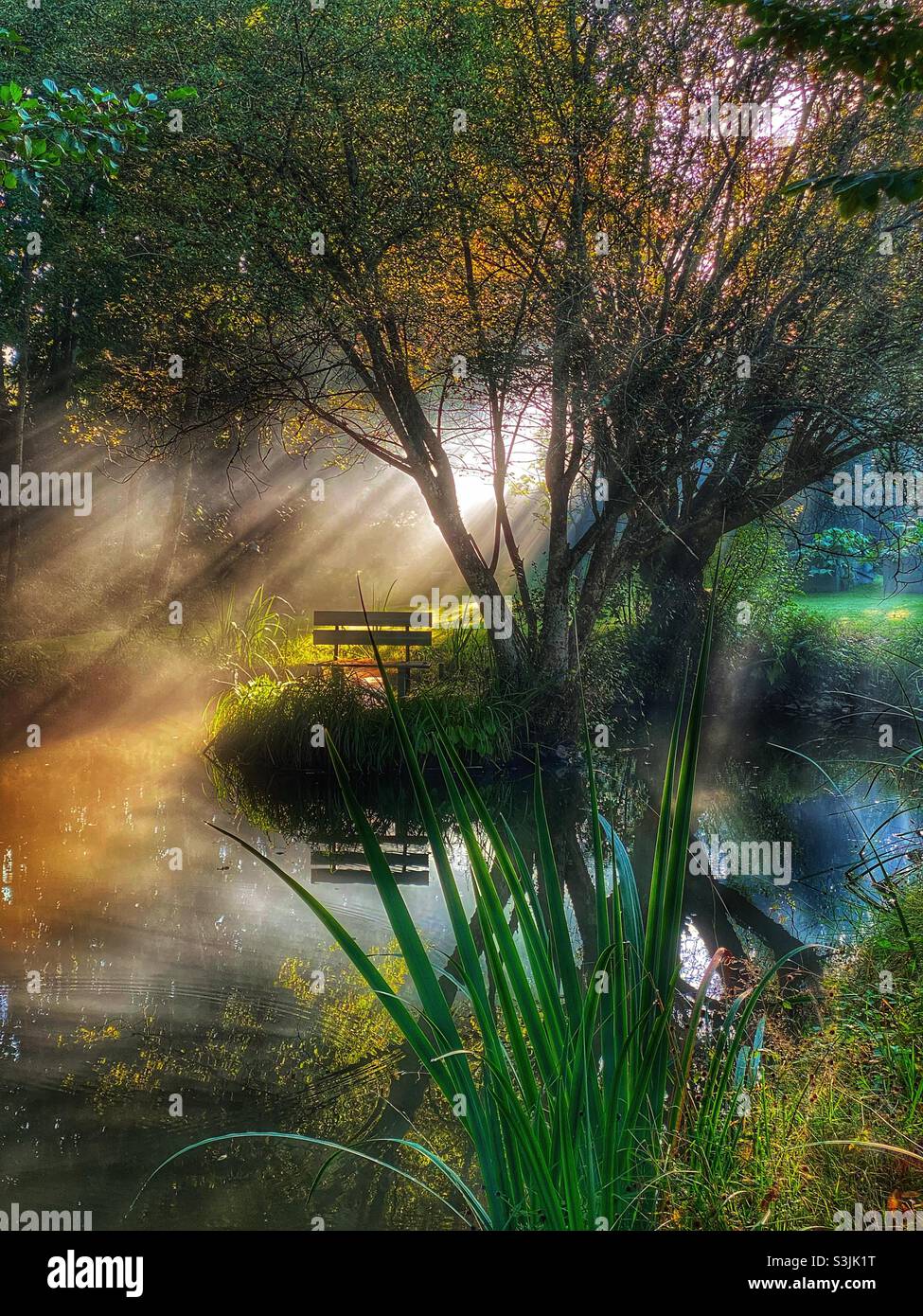 Morning scene hi-res stock photography and images - Alamy